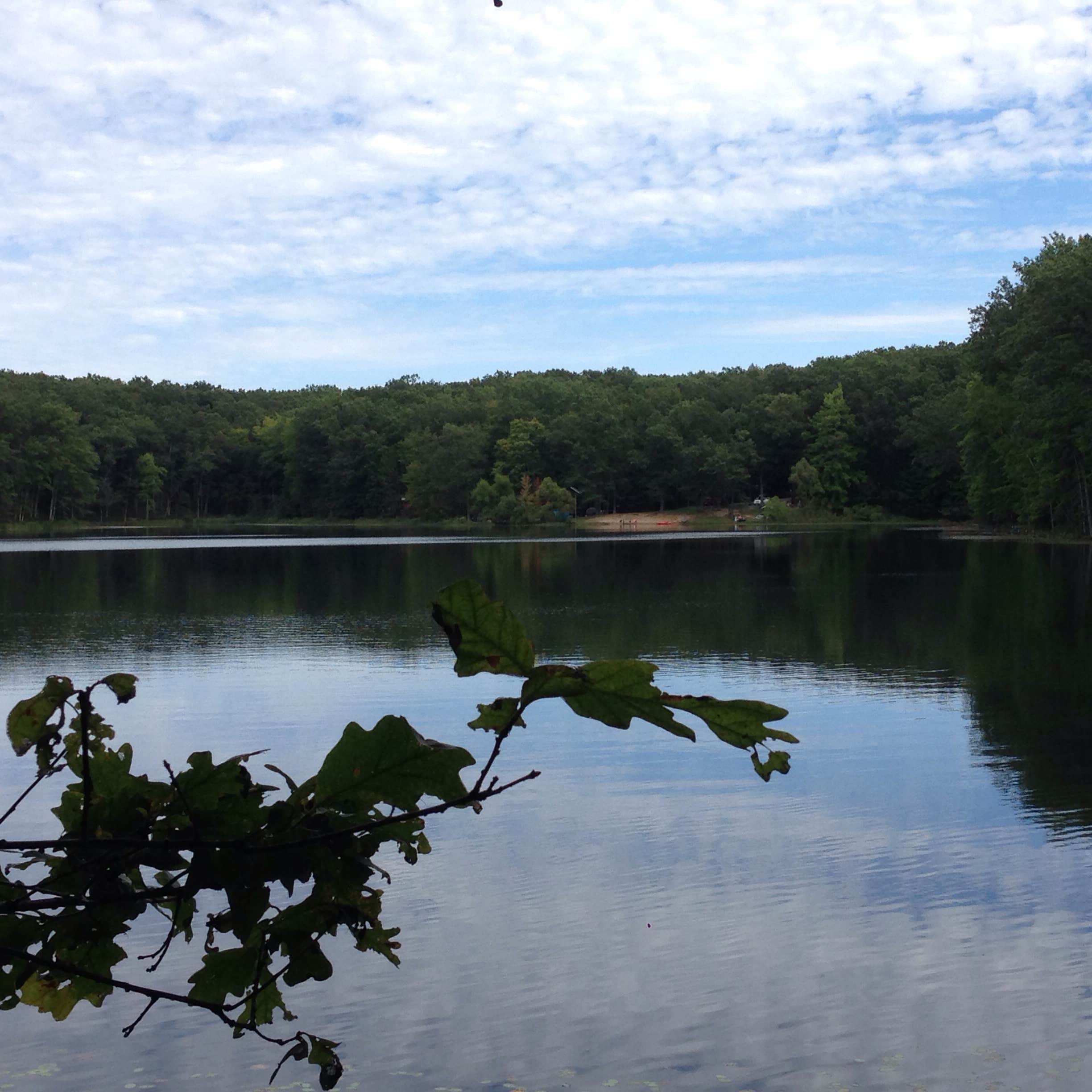 Highbank Lake Campground Camping | The Dyrt