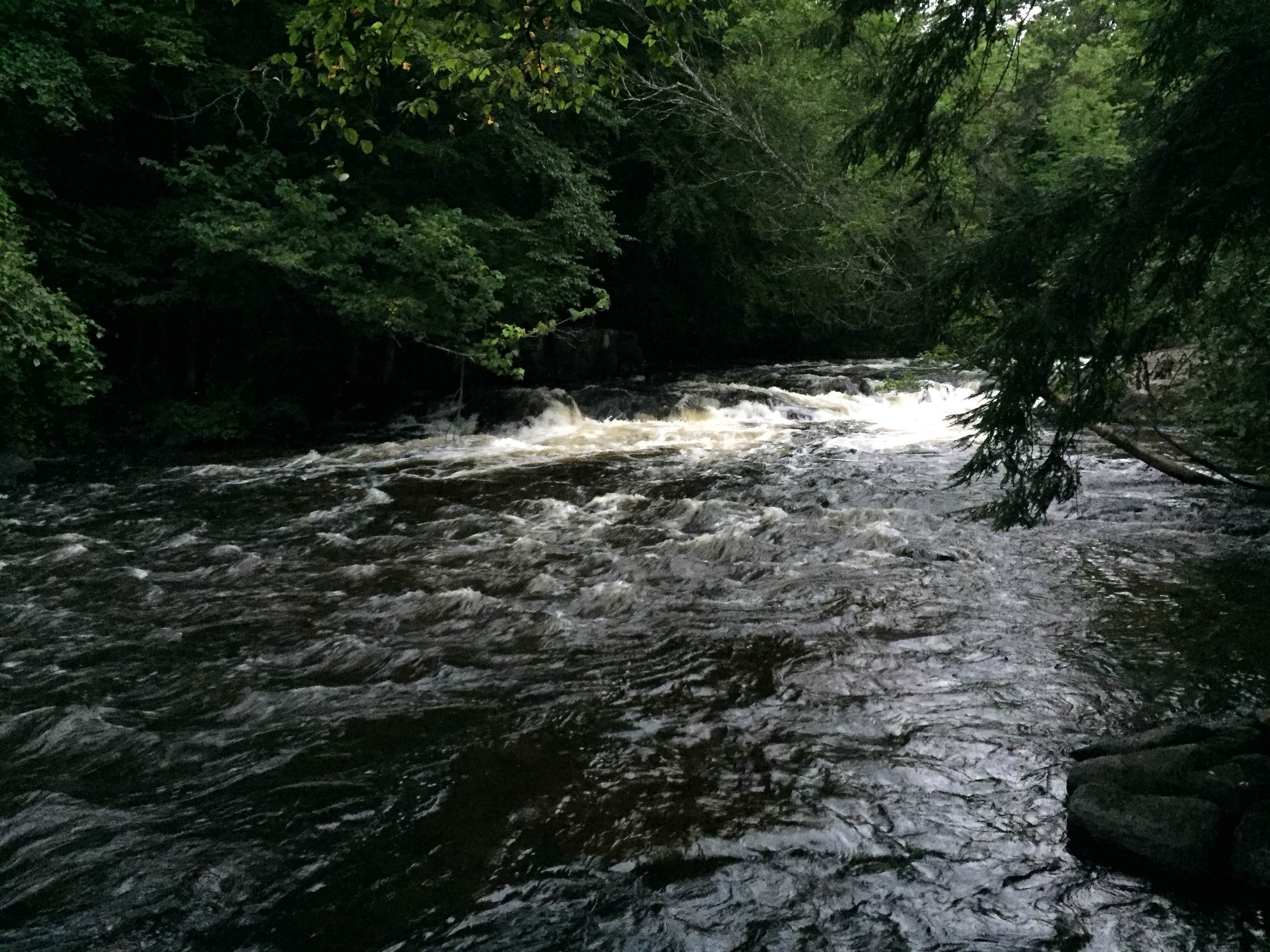Chequamegon-Nicolet/Bagley Rapids | The Dyrt