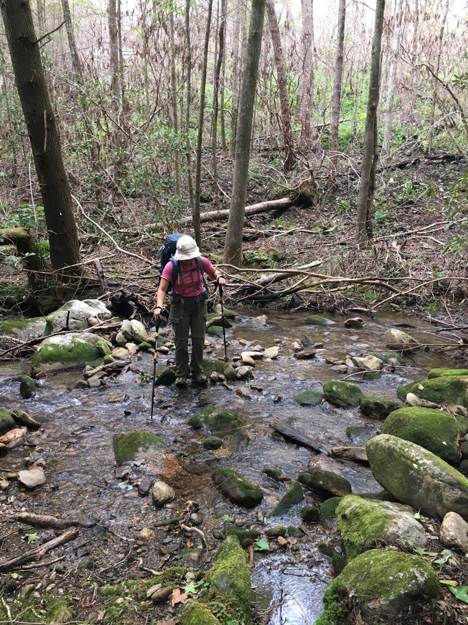 Conasauga River Campground | Crandall, GA