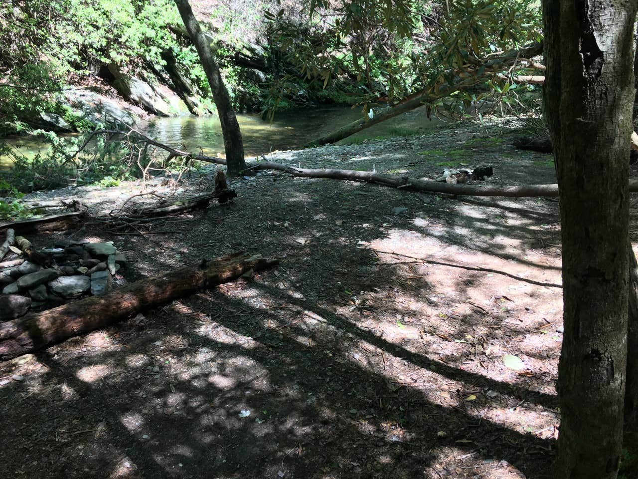 Conasauga River Campground | The Dyrt