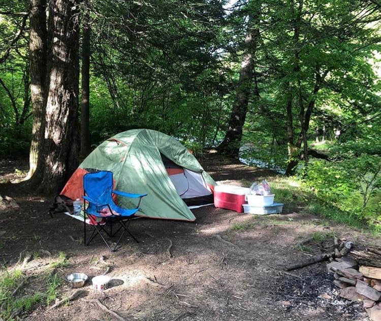 Gandy Creek Dispersed Camping | Whitmer, West Virginia