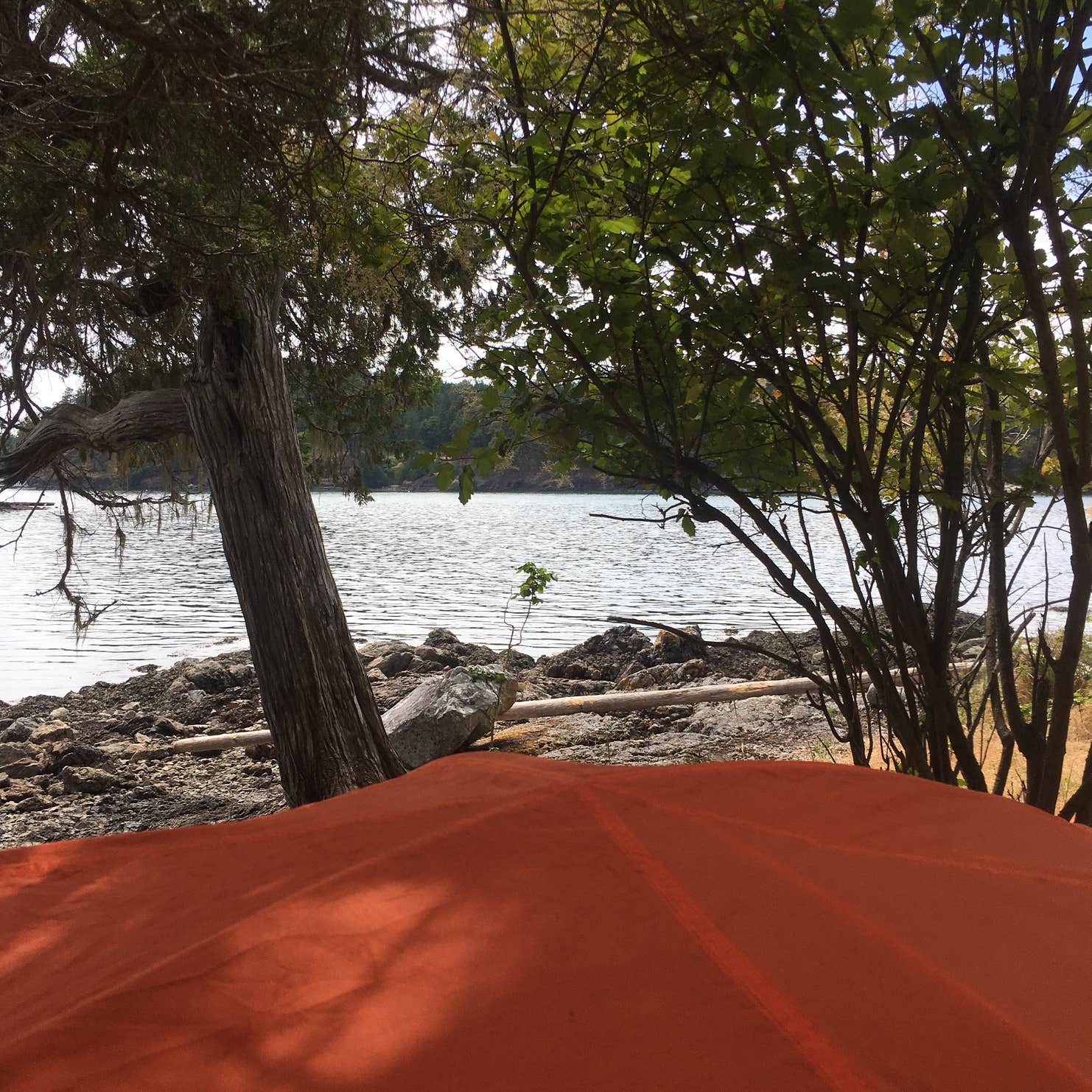 Posey Island State Park Campground | Friday Harbor, Washington