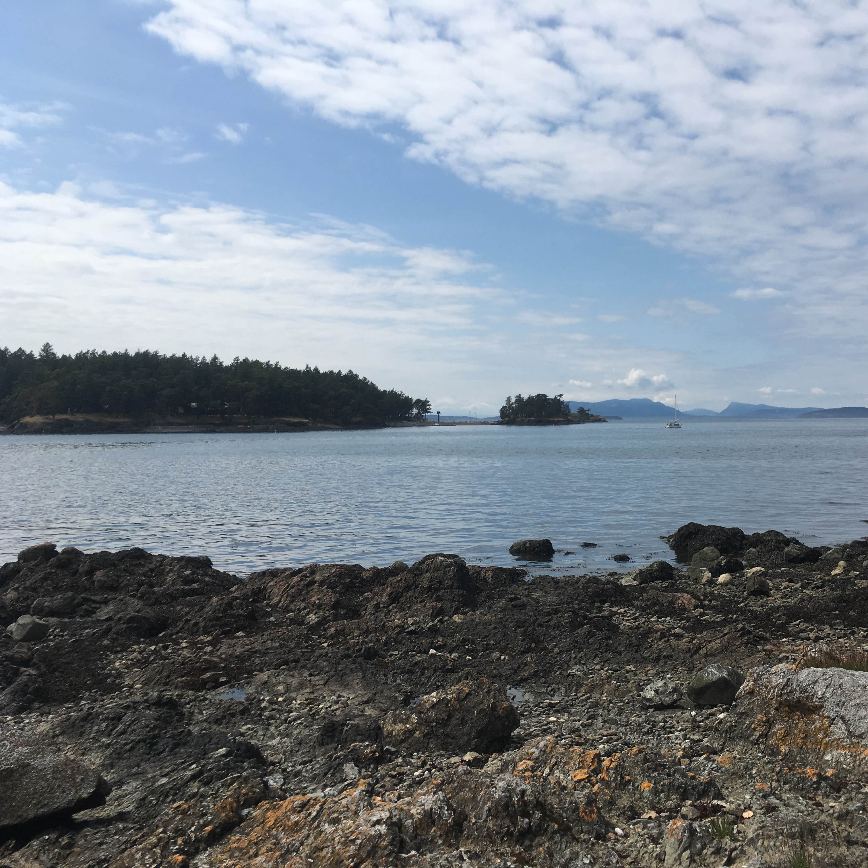 Posey Island State Park Camping | The Dyrt