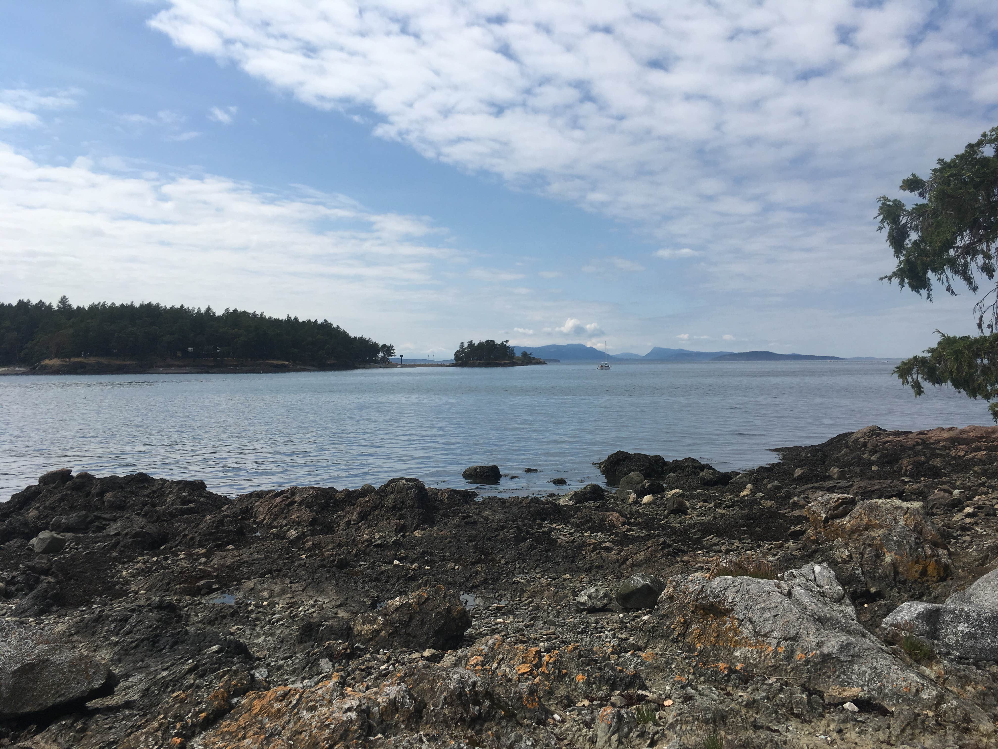 Posey Island State Park Campground | Friday Harbor, WA