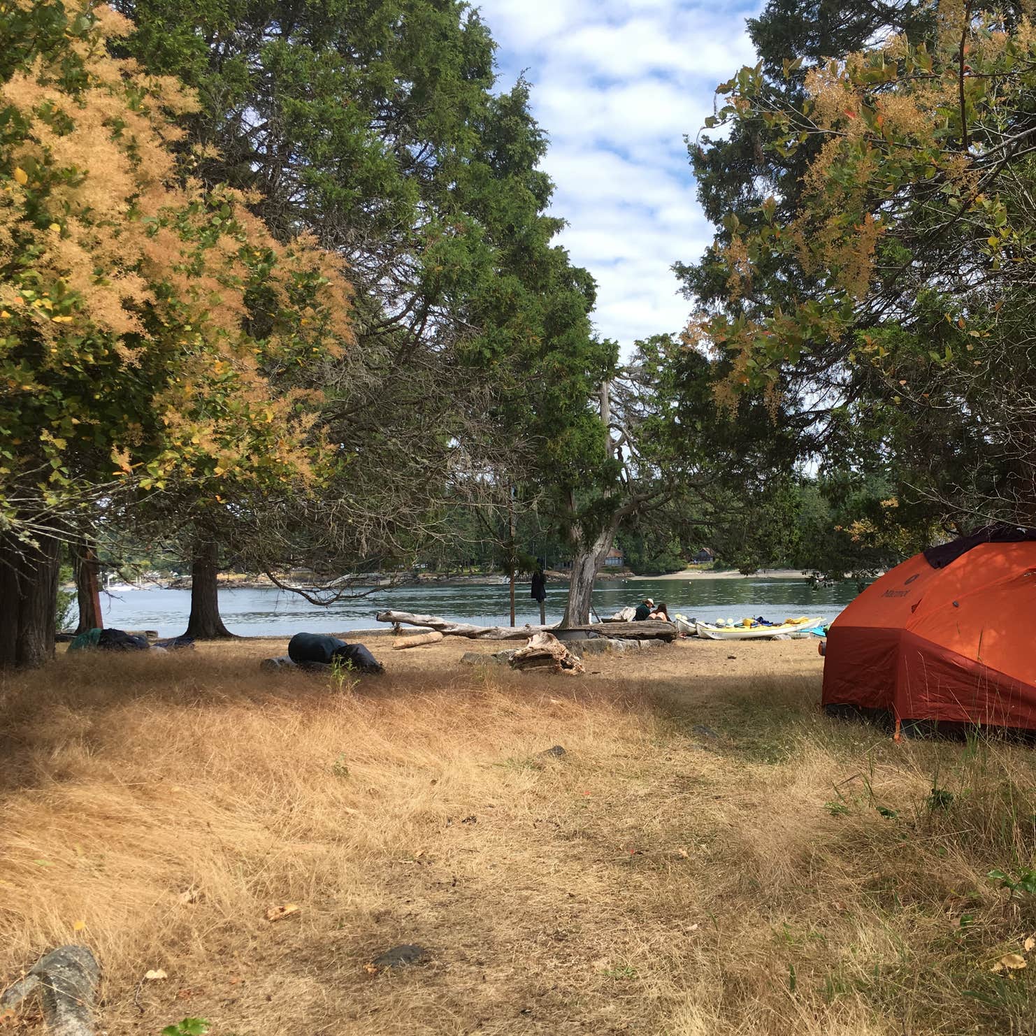 Posey Island State Park Camping | The Dyrt