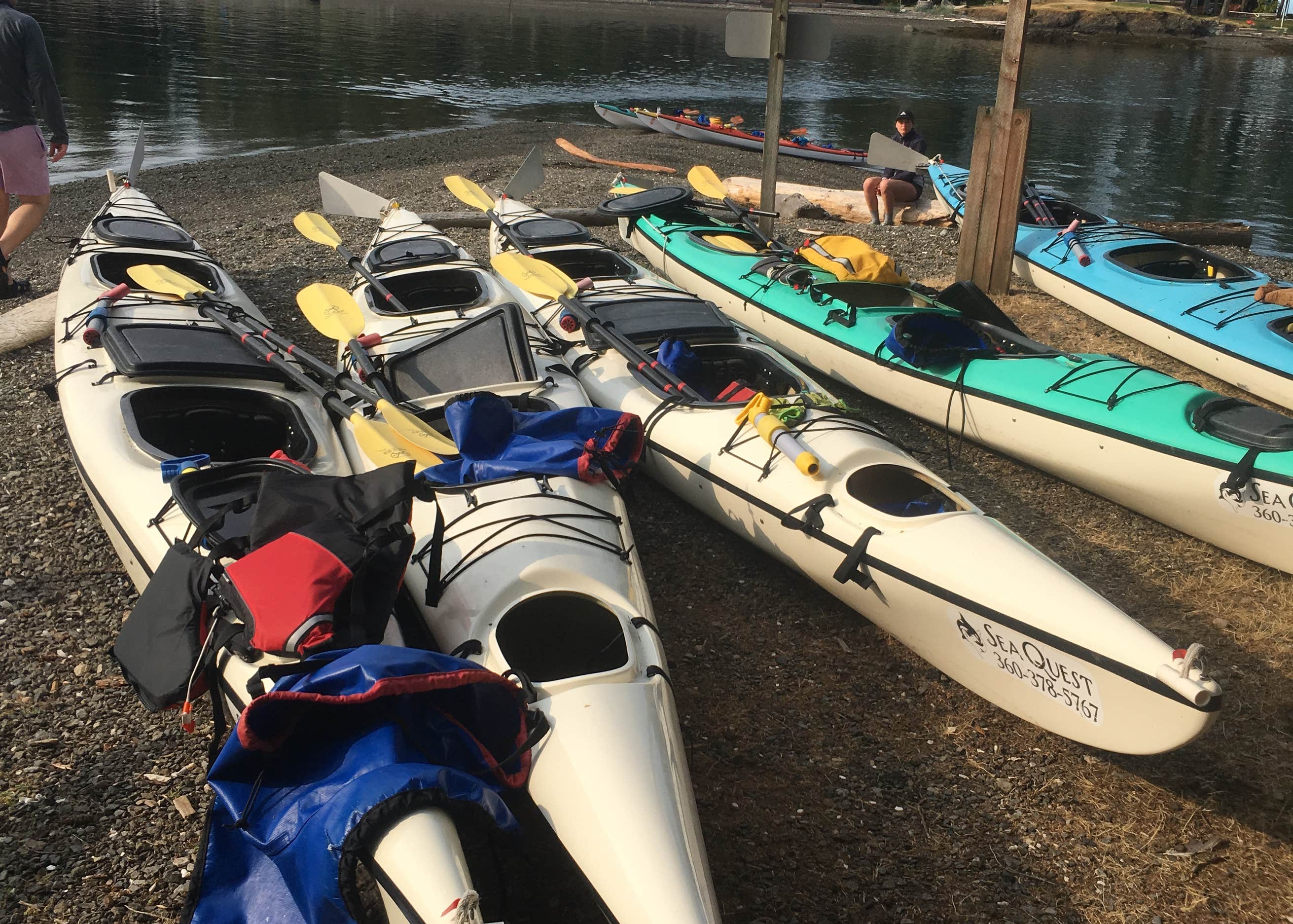 Posey Island State Park Camping | The Dyrt