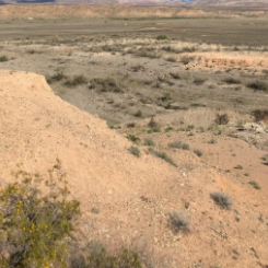 Overton Wildlife Management Area Camping | The Dyrt