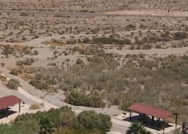 Overton Wildlife Management Area Camping | The Dyrt