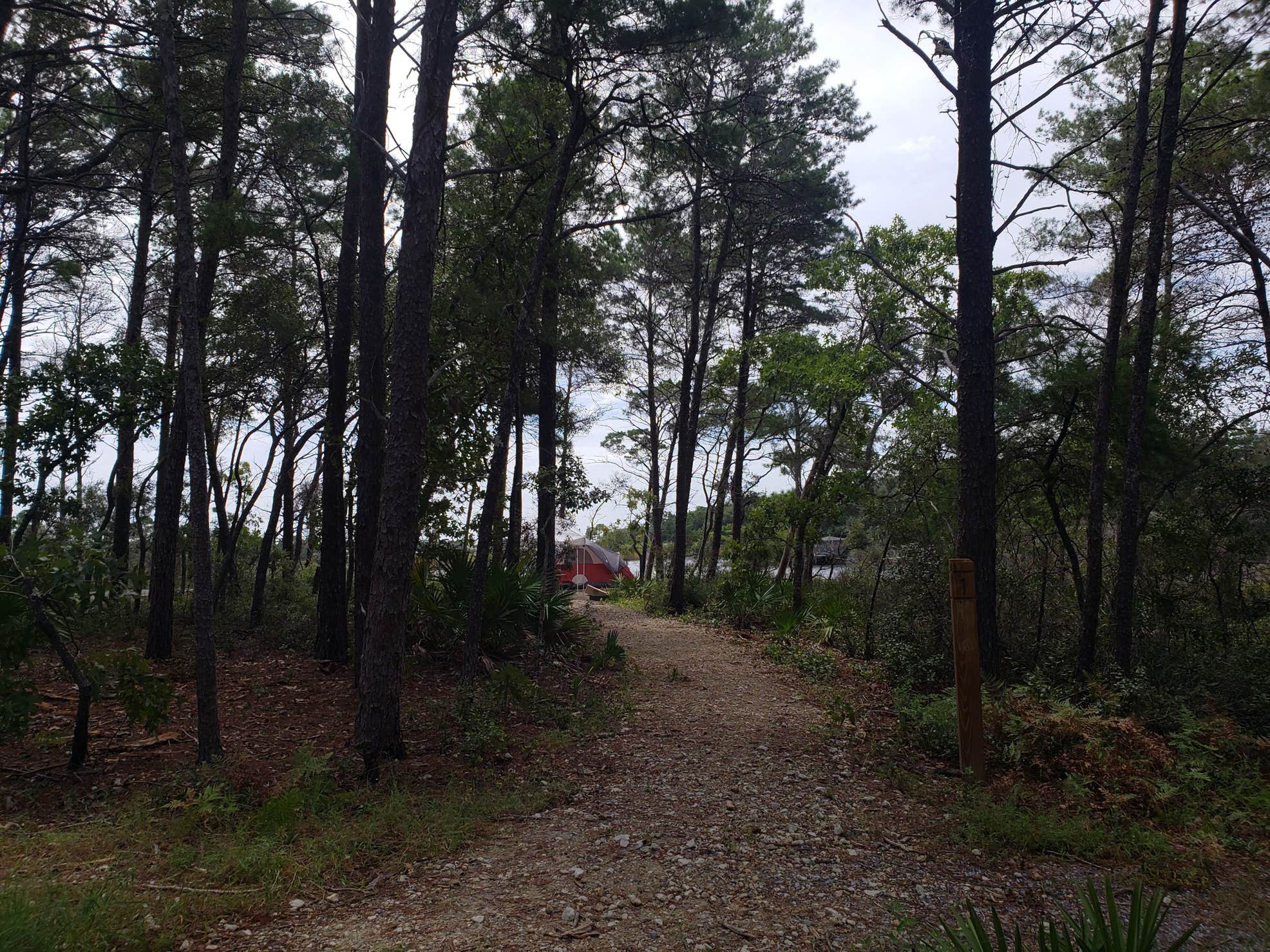 Point Washington Camping | The Dyrt