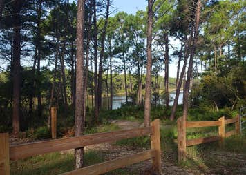 Point Washington Camping | The Dyrt