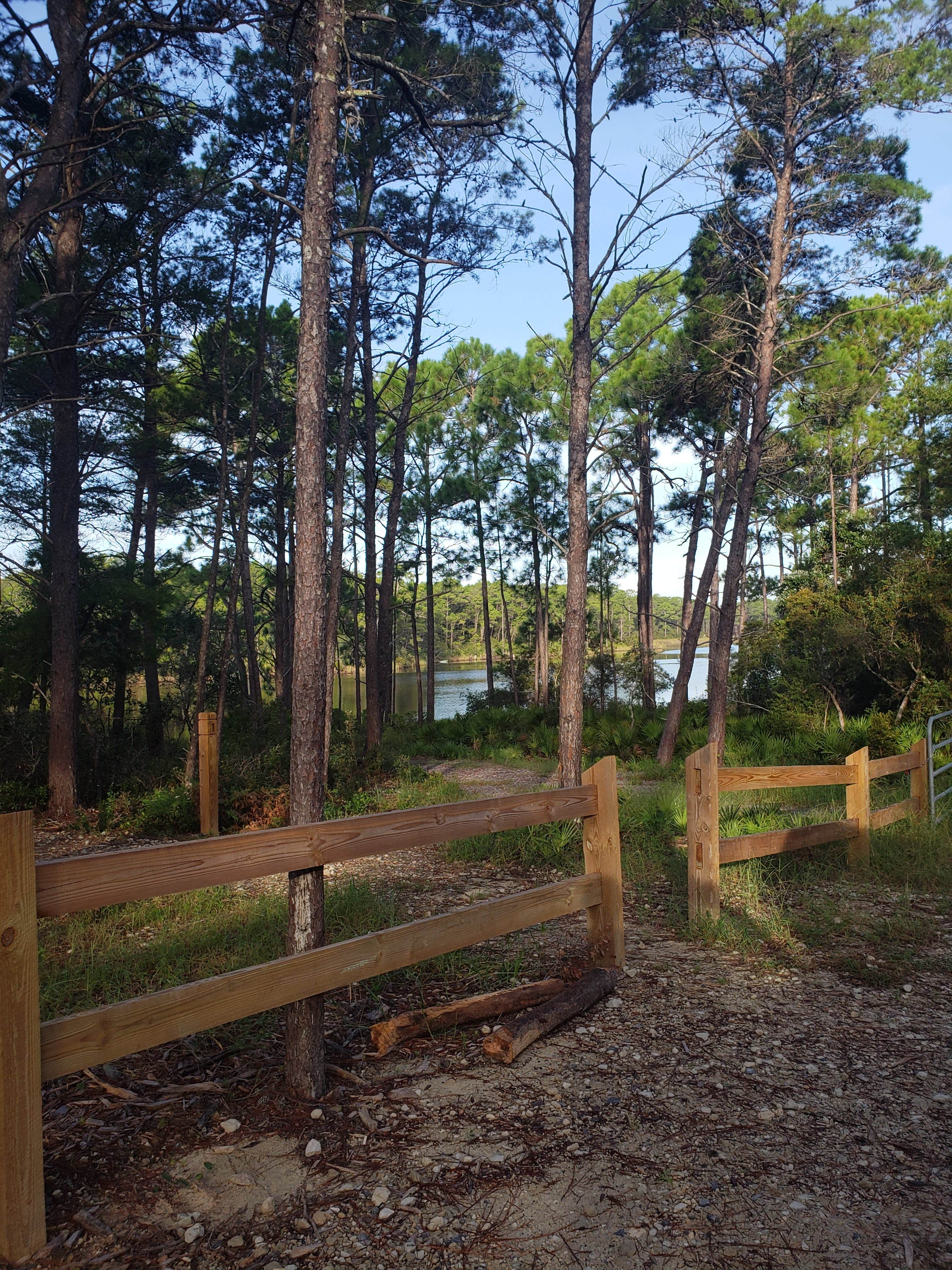 Point Washington Camping | Inlet Beach, FL