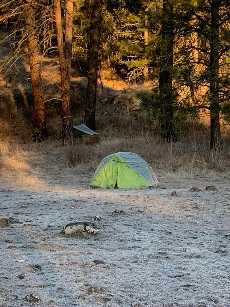 Hog Lake Campground | The Dyrt