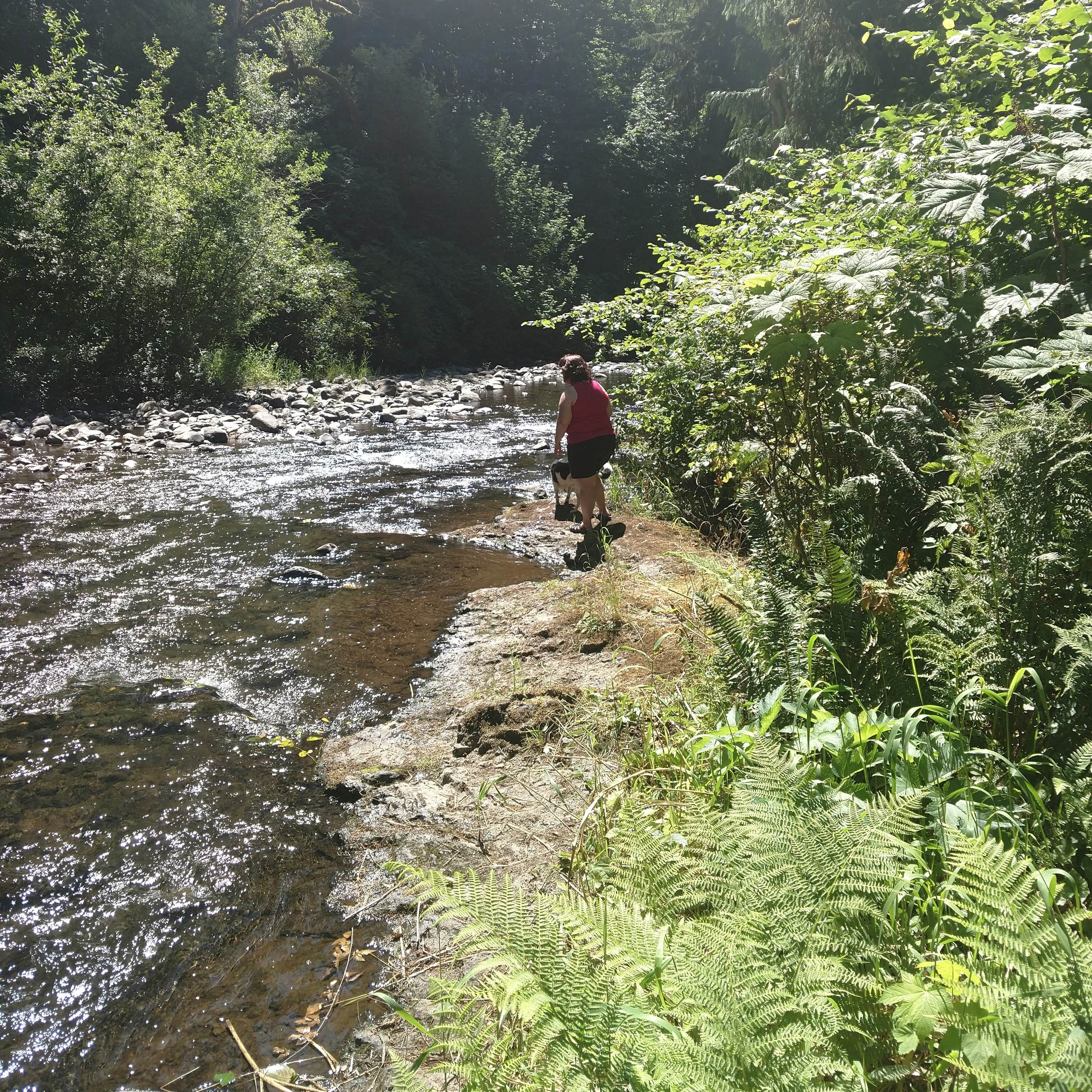Porter Creek Camping | Elma, WA