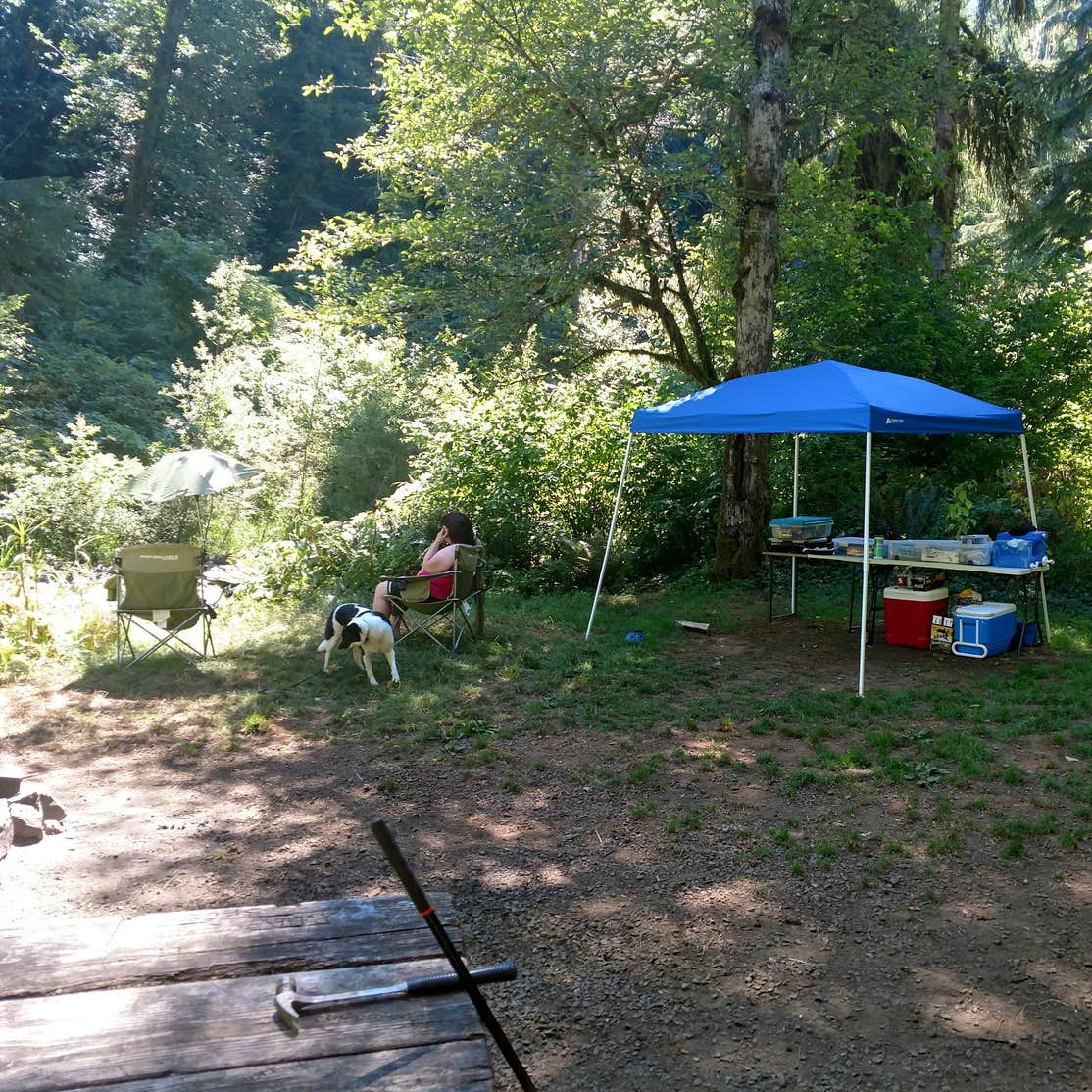 Porter Creek Camping | Malone, Washington
