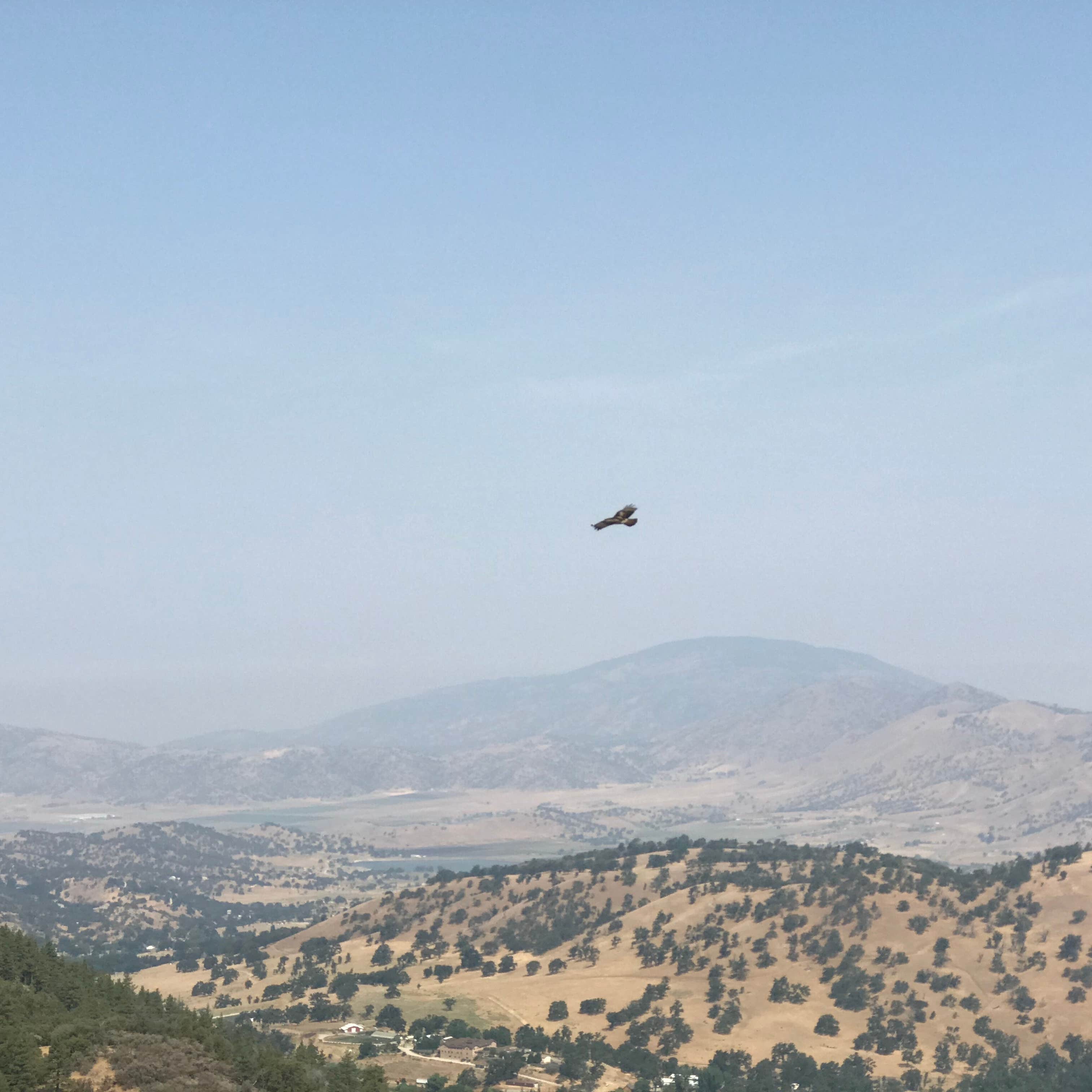 Tehachapi Mountain Park Camping | The Dyrt