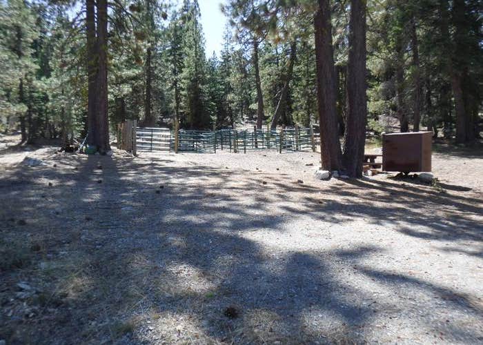 Packsaddle Camping | The Dyrt