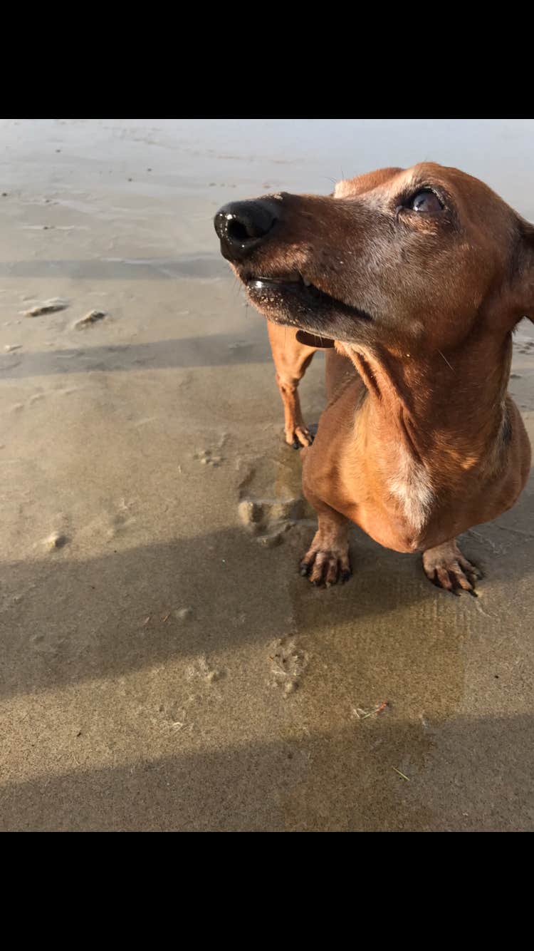 Tillicum Beach Campground | Waldport, OR