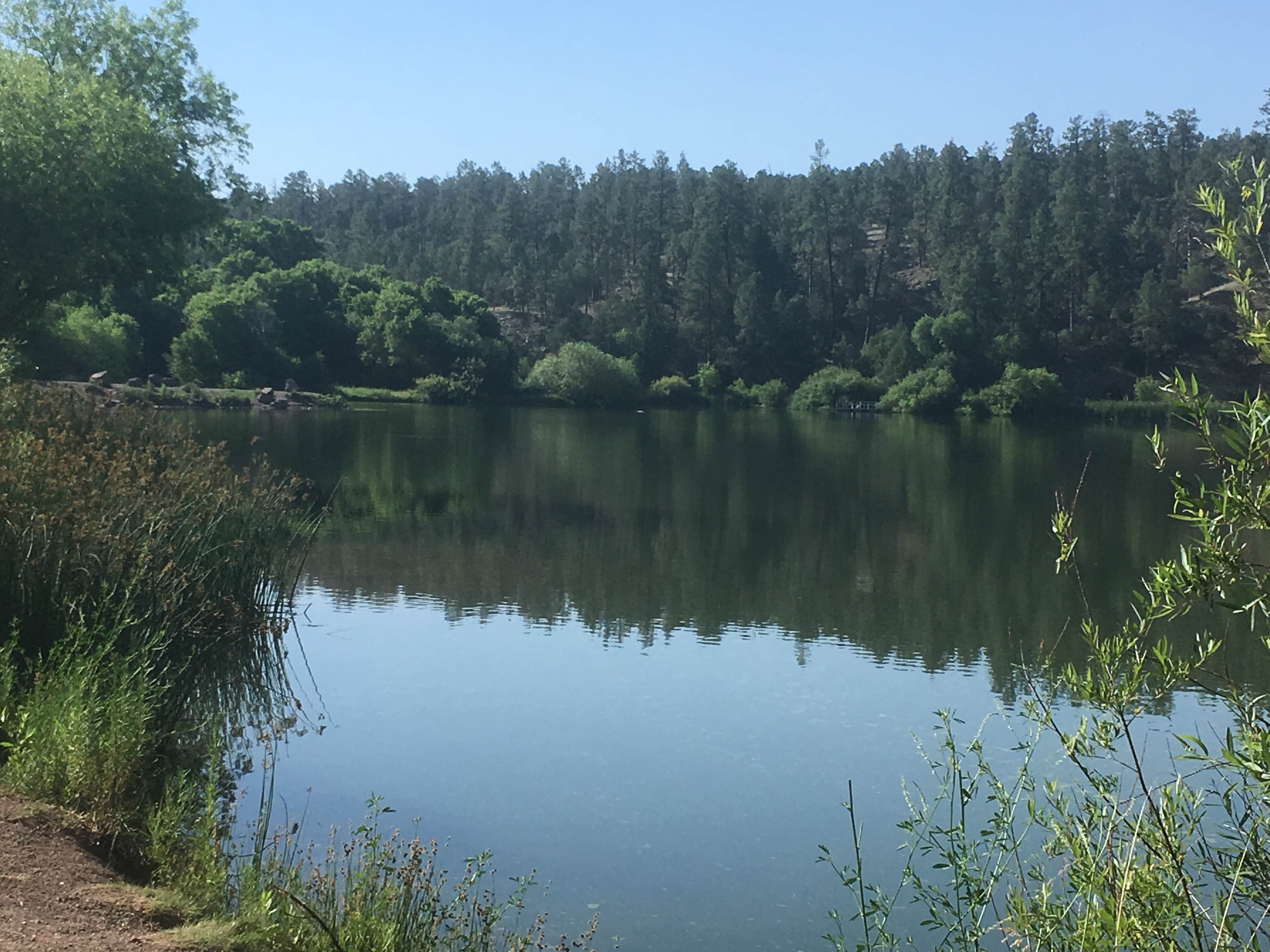 Lake Roberts | The Dyrt