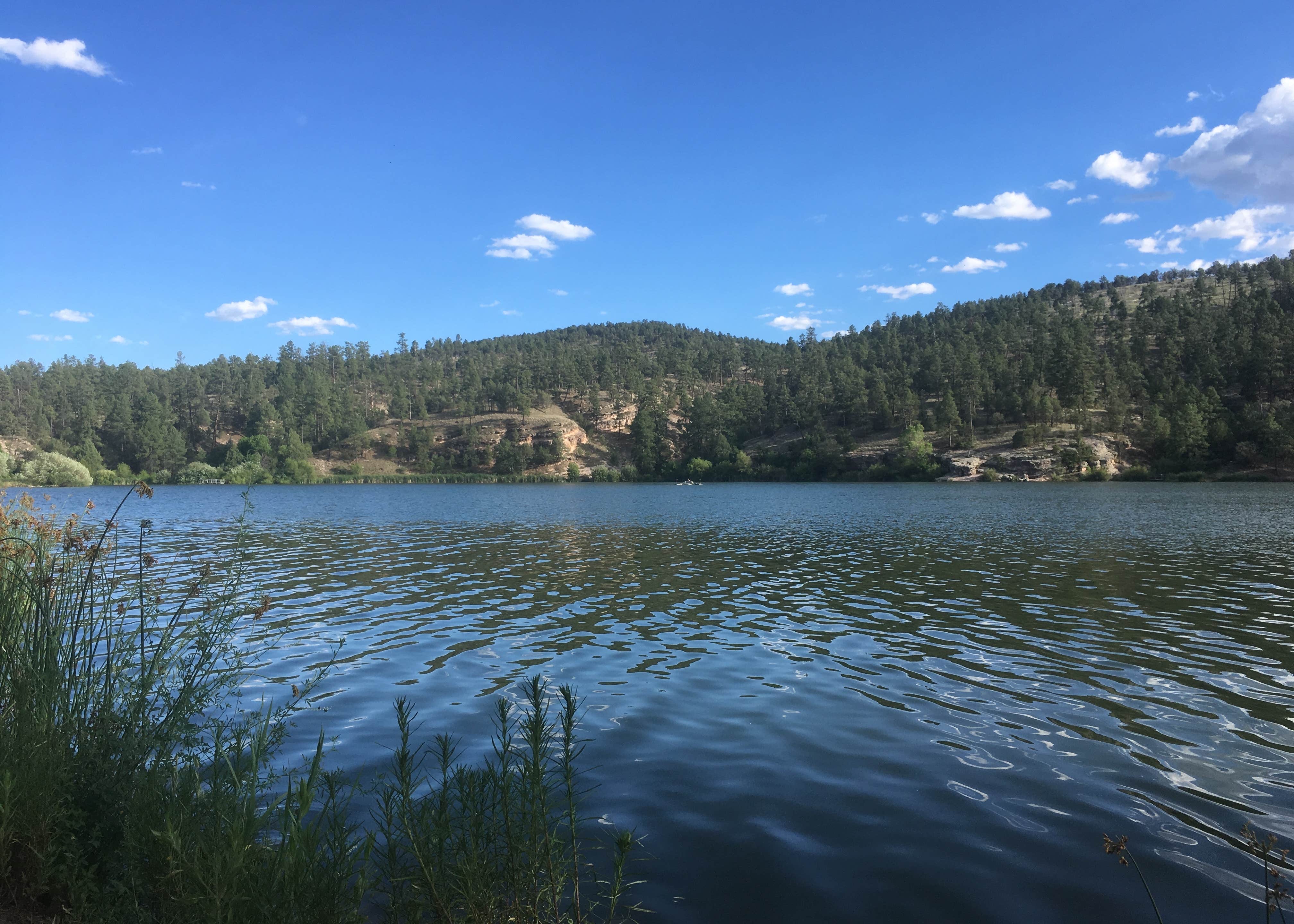 Lake Roberts Camping | The Dyrt