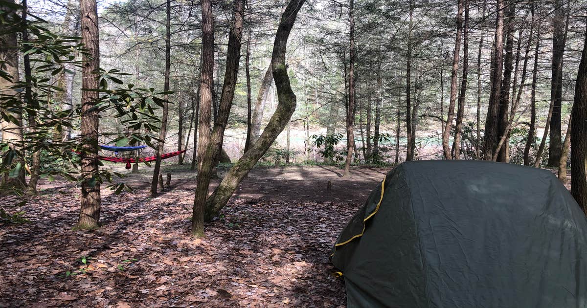 Camper-Submitted Photos of Burnt Mill Bridge Loop