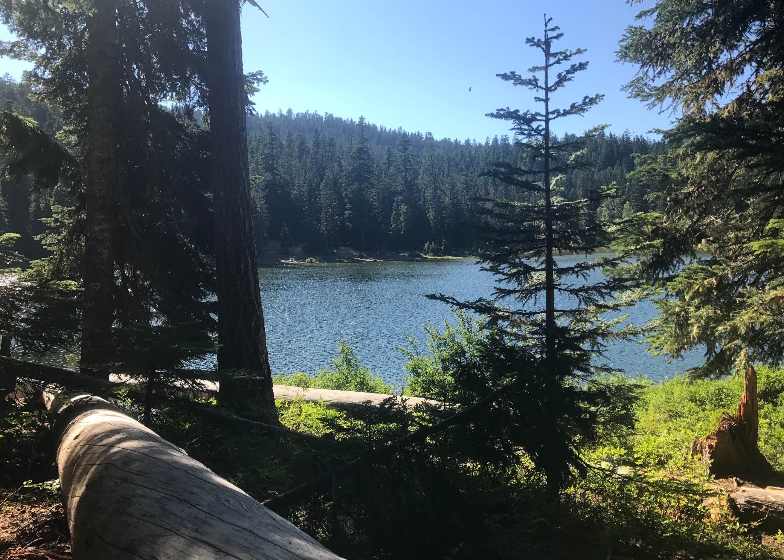 Mount Hood National Forest Frog Lake Campground Camping | The Dyrt