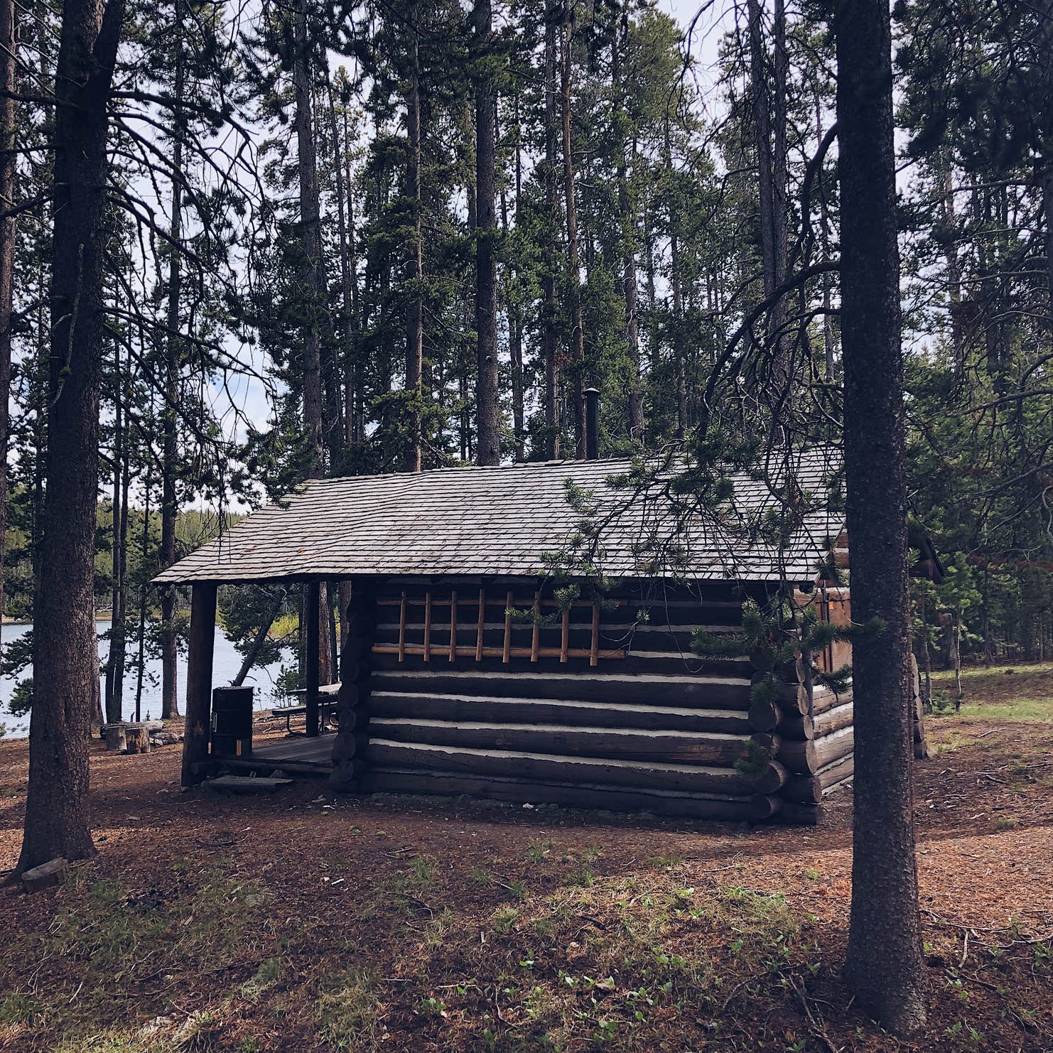 Mary Mountain Backcountry Patrol Cabin Camping | The Dyrt