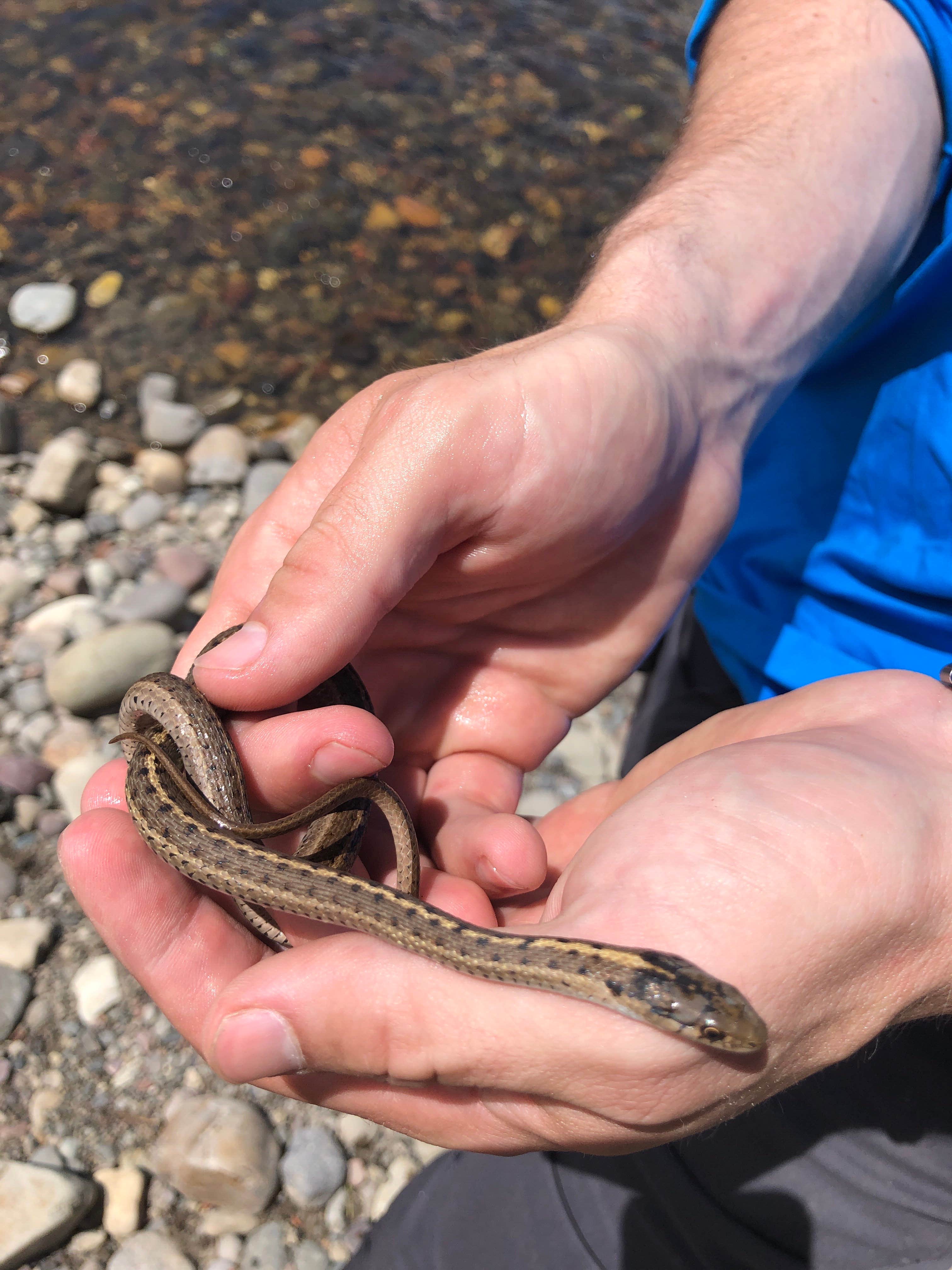 Snake River — Yellowstone National Park Camping | Moran, WY