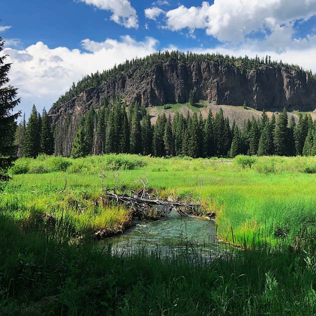 Snake River — Yellowstone National Park Camping | John D. Rockefeller ...