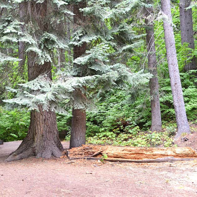 Finner Creek Campground | Ardenvoir, WA