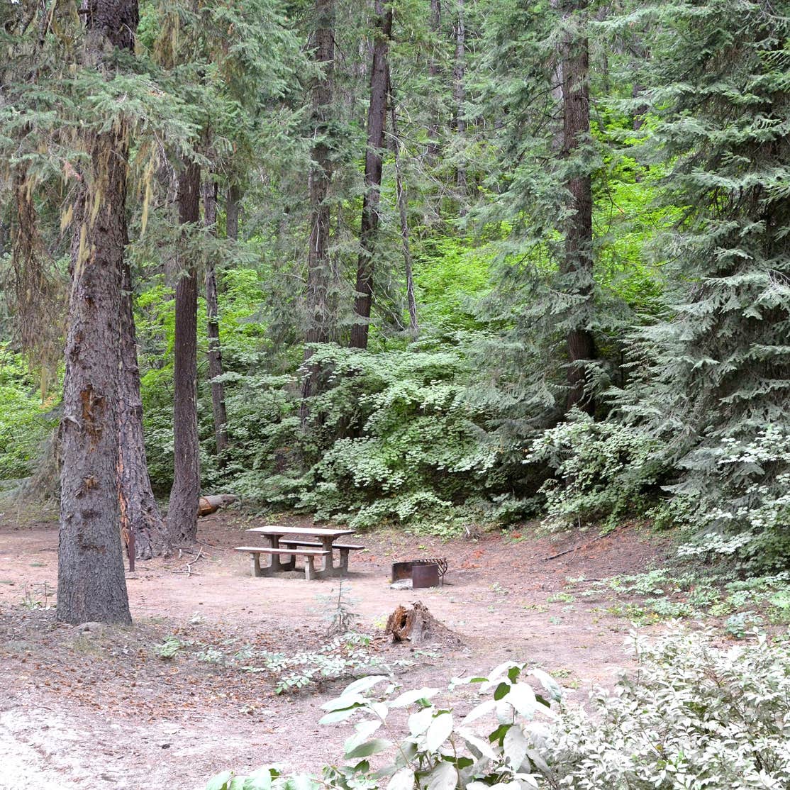 Finner Creek Campground | Ardenvoir, Washington