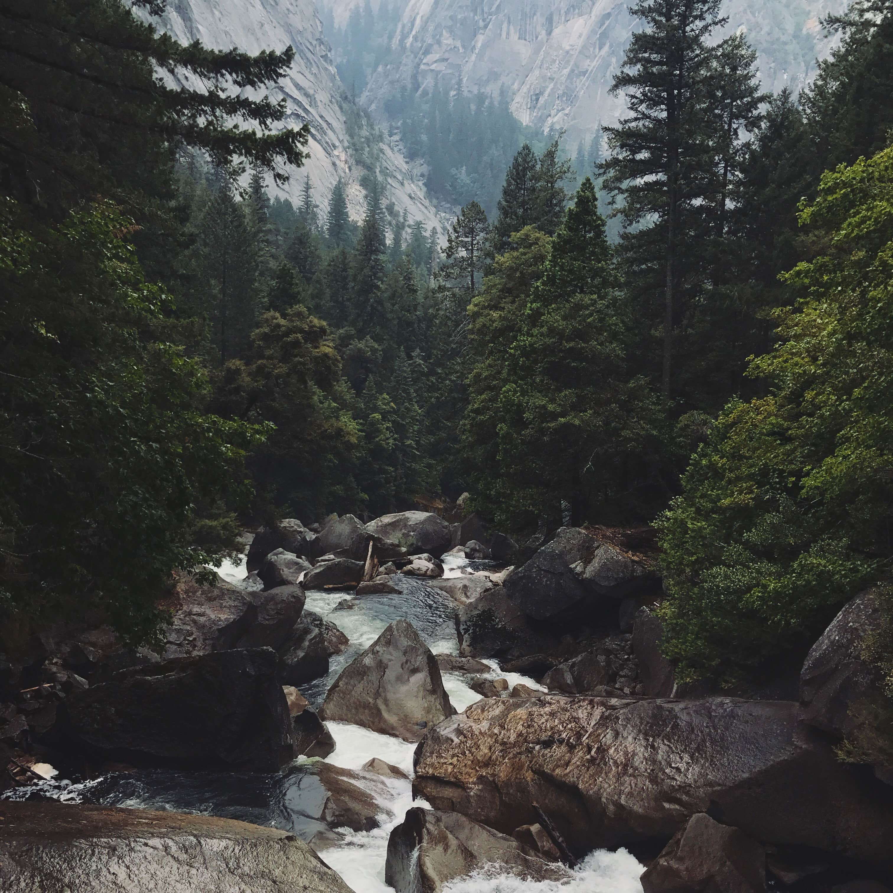 Yosemite Valley Backpacker's Campground Camping | The Dyrt