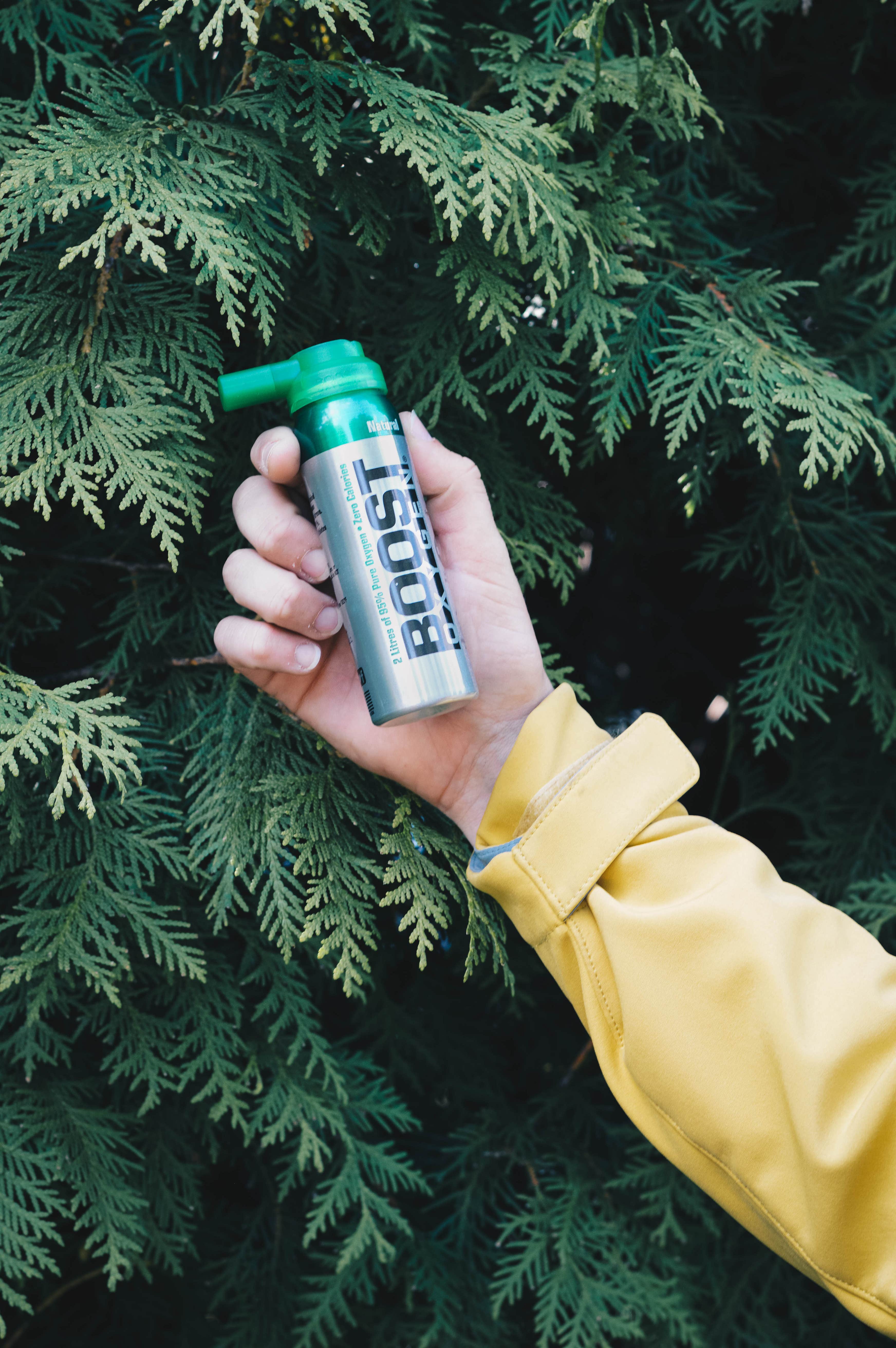 Yosemite Valley Backpacker's Campground Camping | The Dyrt