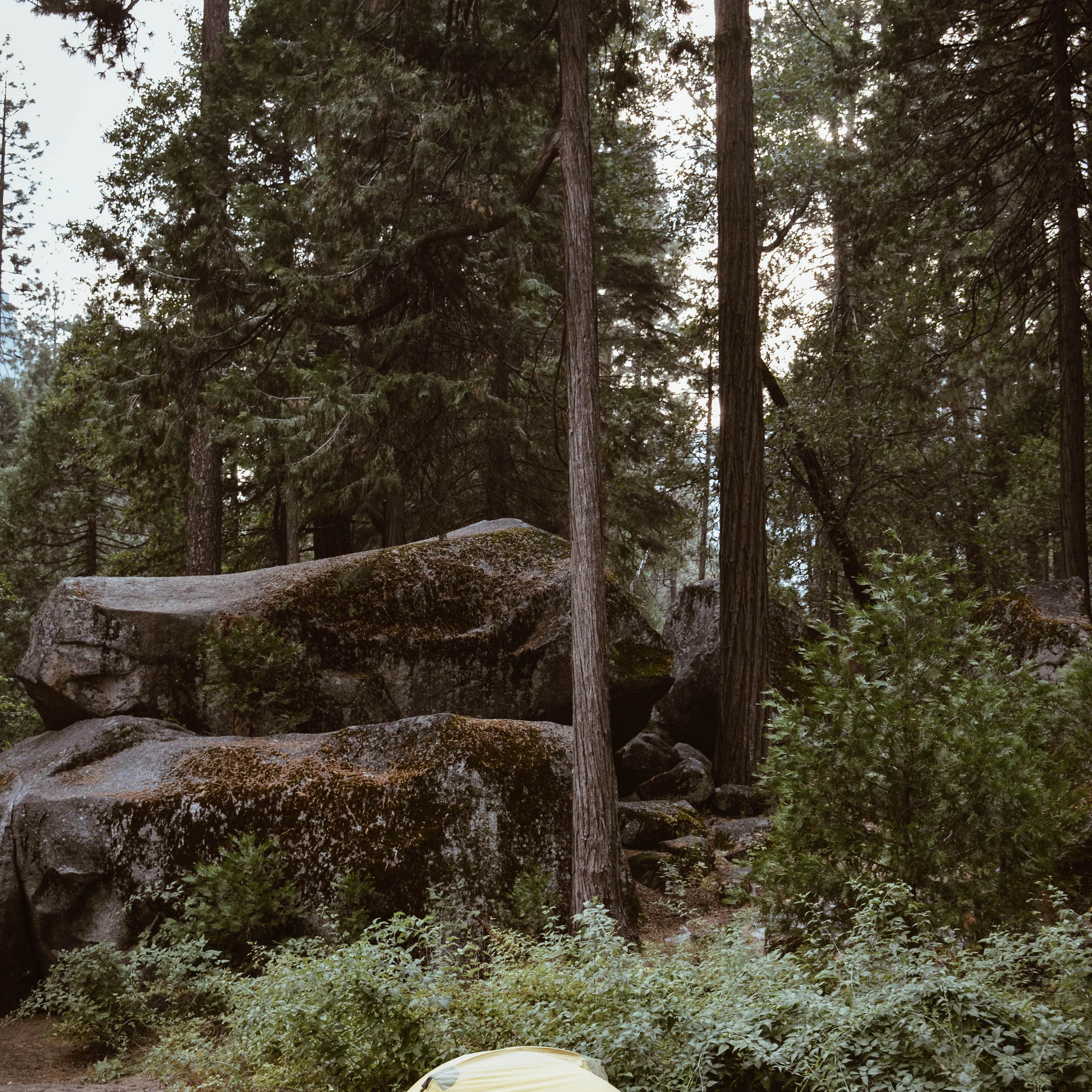 Yosemite Valley Backpacker's Campground Camping | The Dyrt