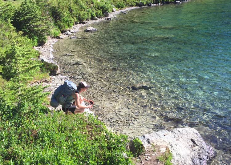 Hyas Lake Camping | The Dyrt