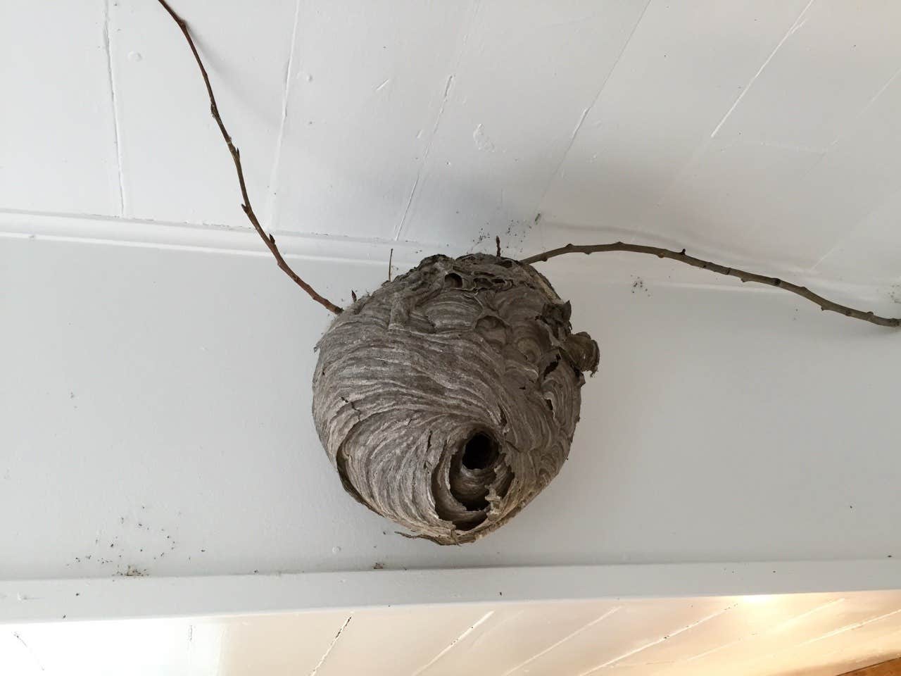 Conconully State Park Campground | Conconully, WA