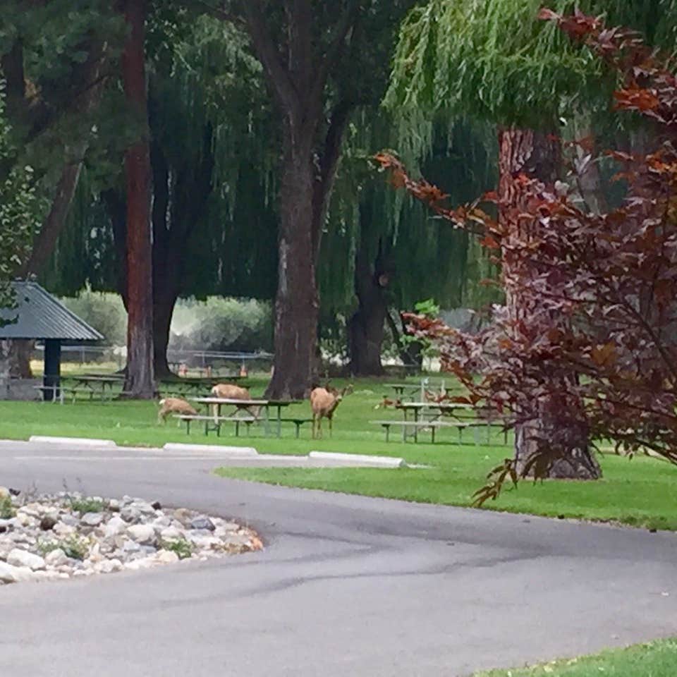 Conconully State Park Campground | Conconully, Washington