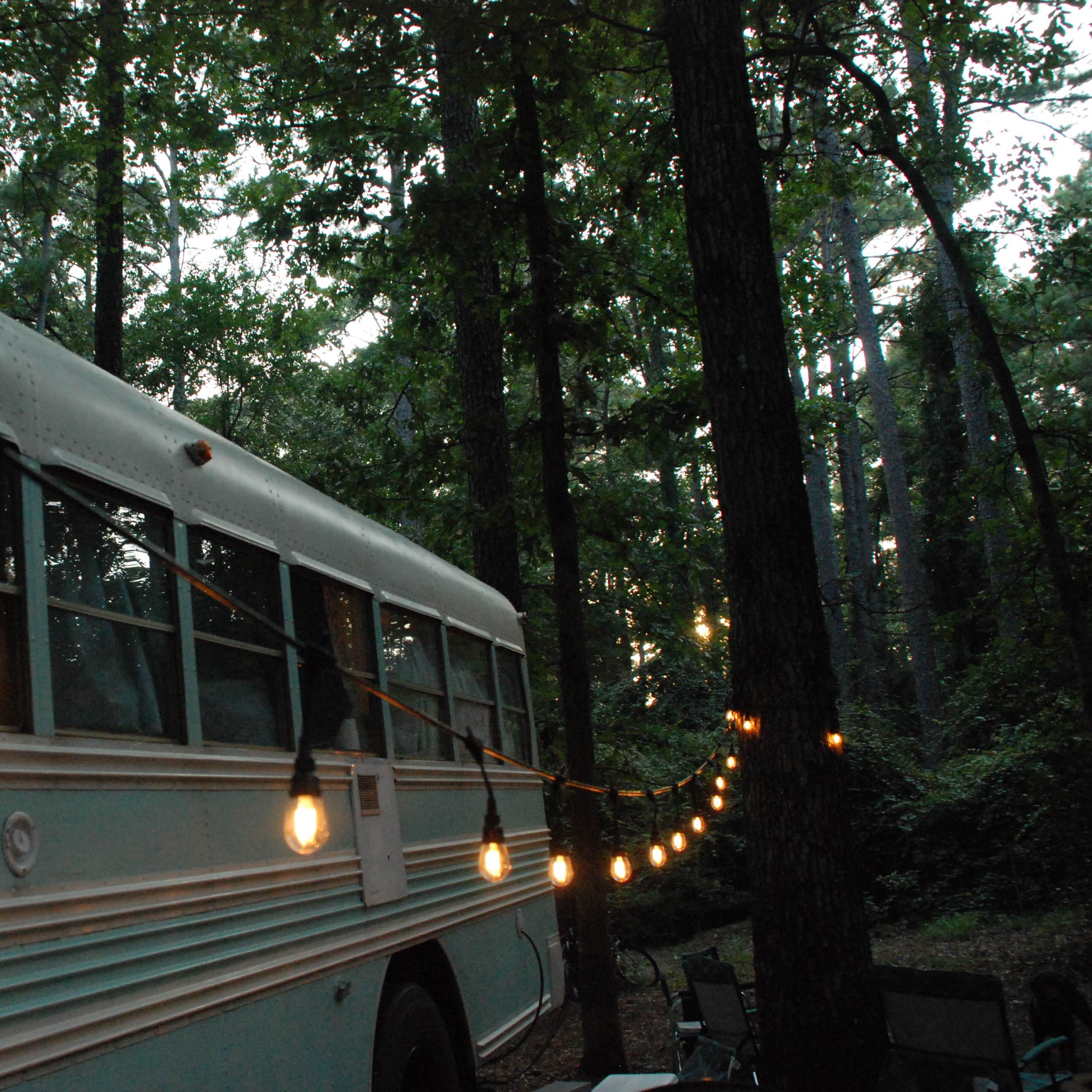 Clarkco State Park Camping | The Dyrt