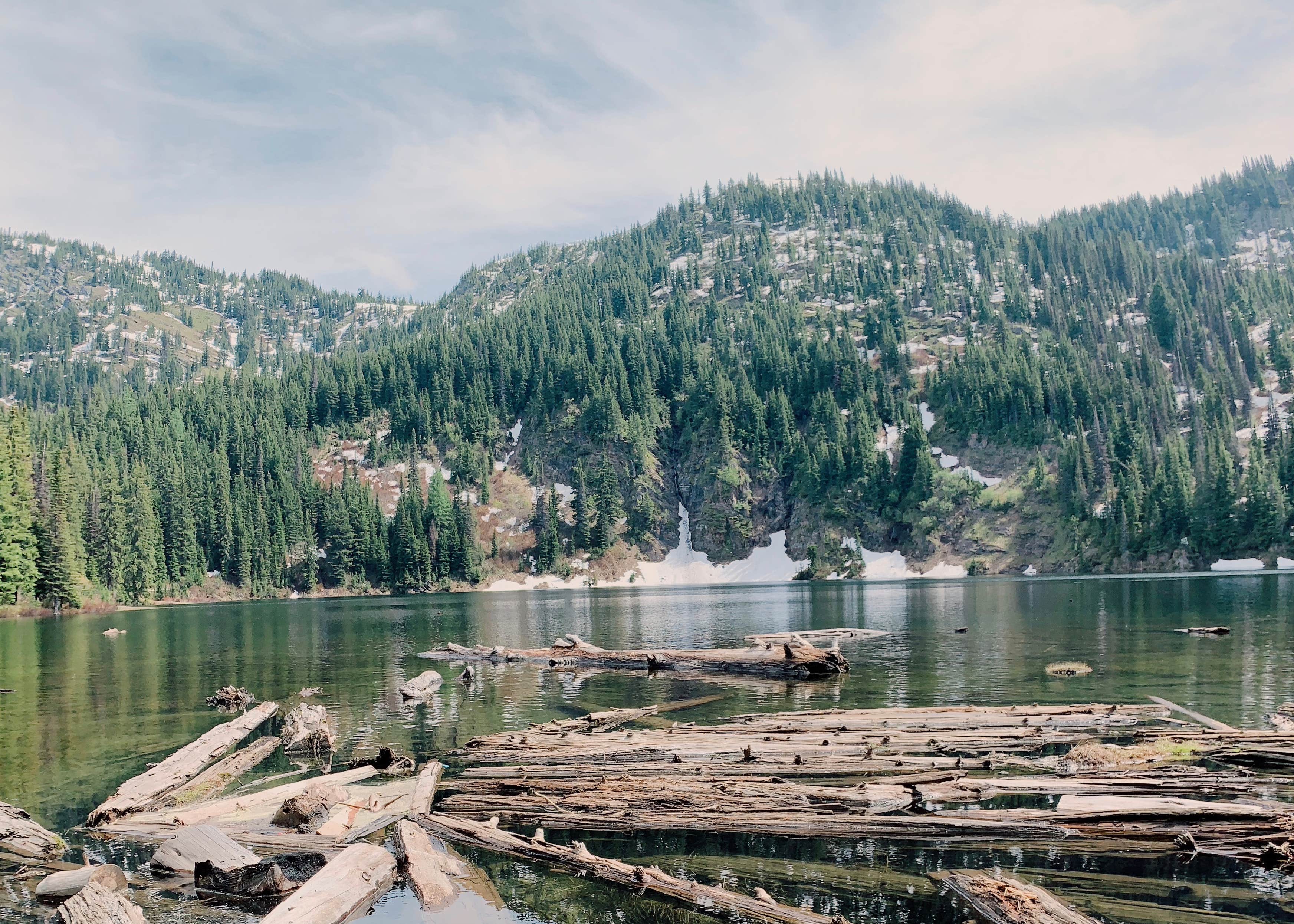 Lake Elsie Campground Camping | The Dyrt