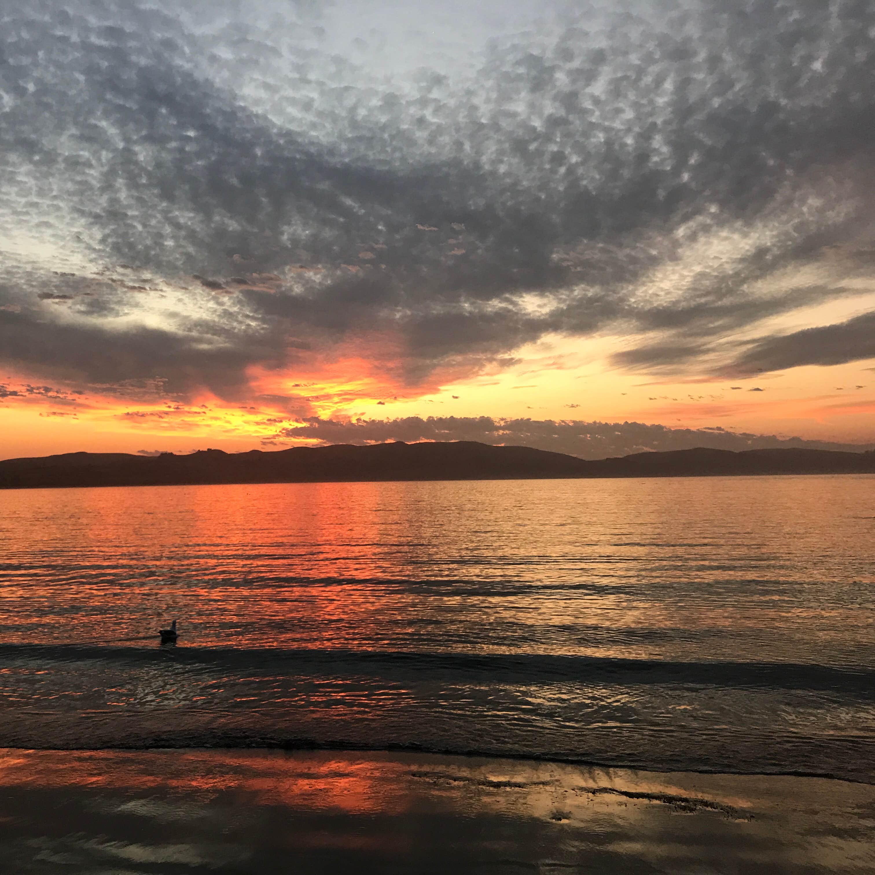 Doran Regional Park Camping | The Dyrt