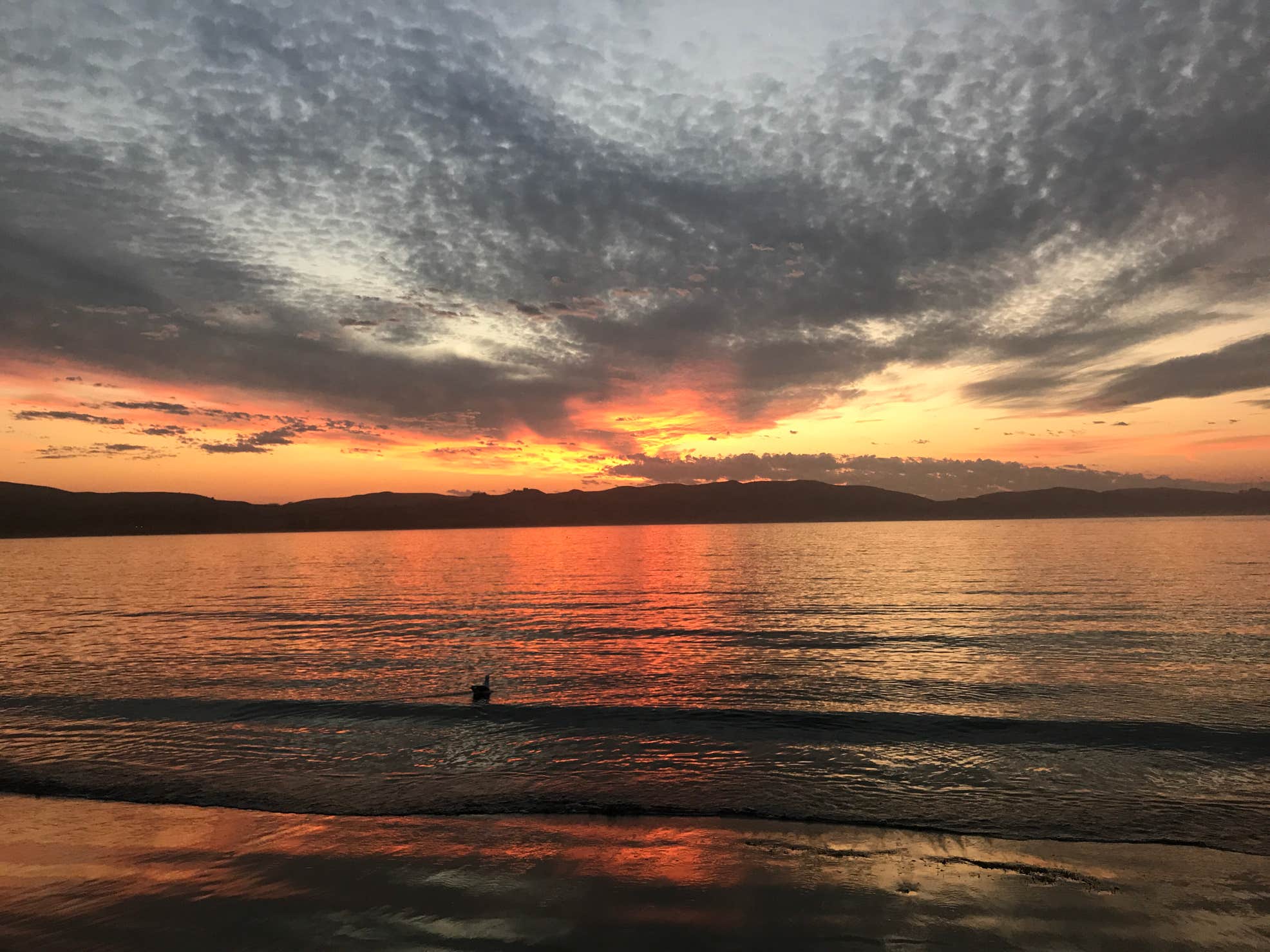 Doran Regional Park Camping | The Dyrt