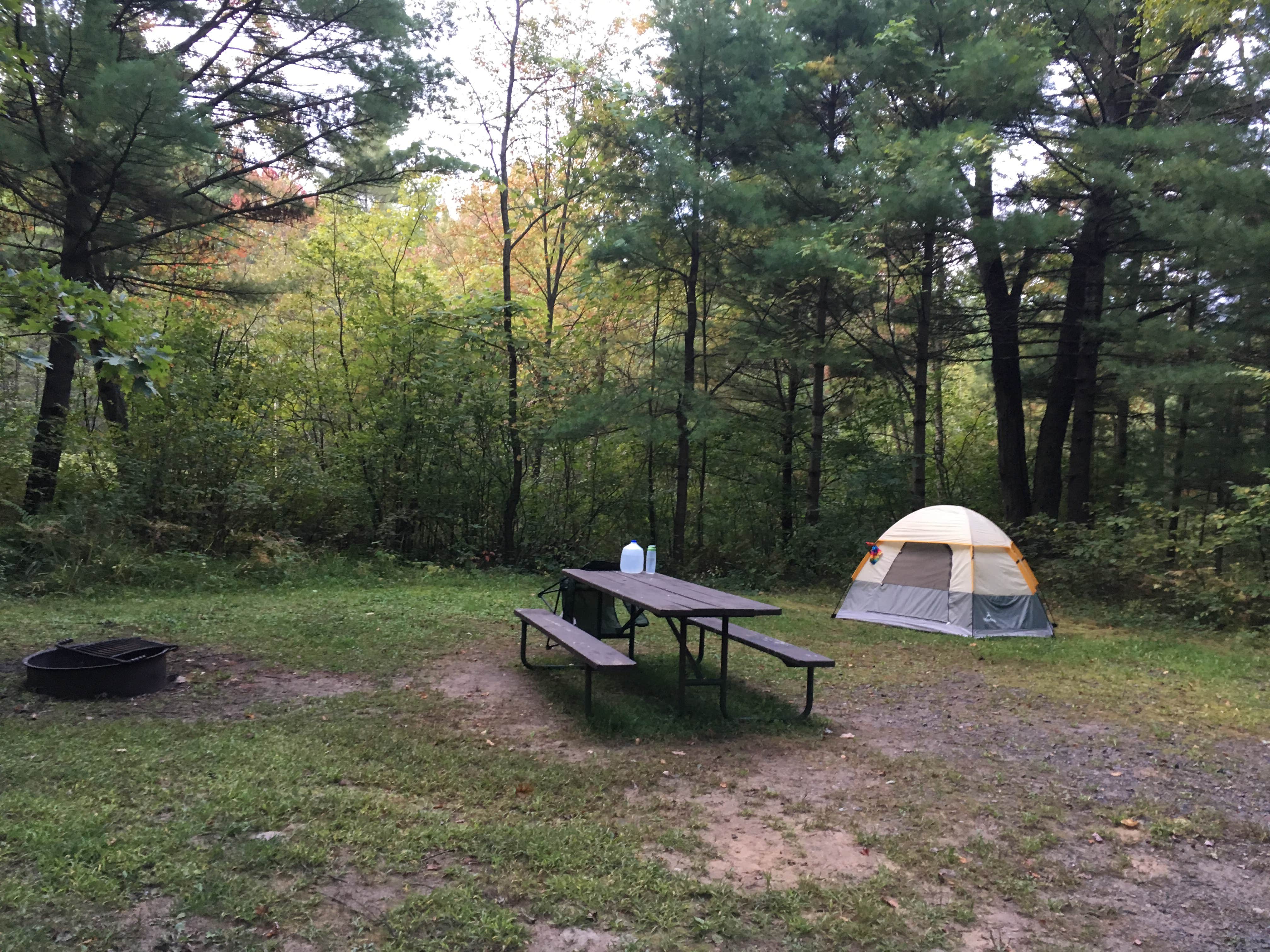 Pigeon Creek Campground — Black River State Forest | Warrens, WI