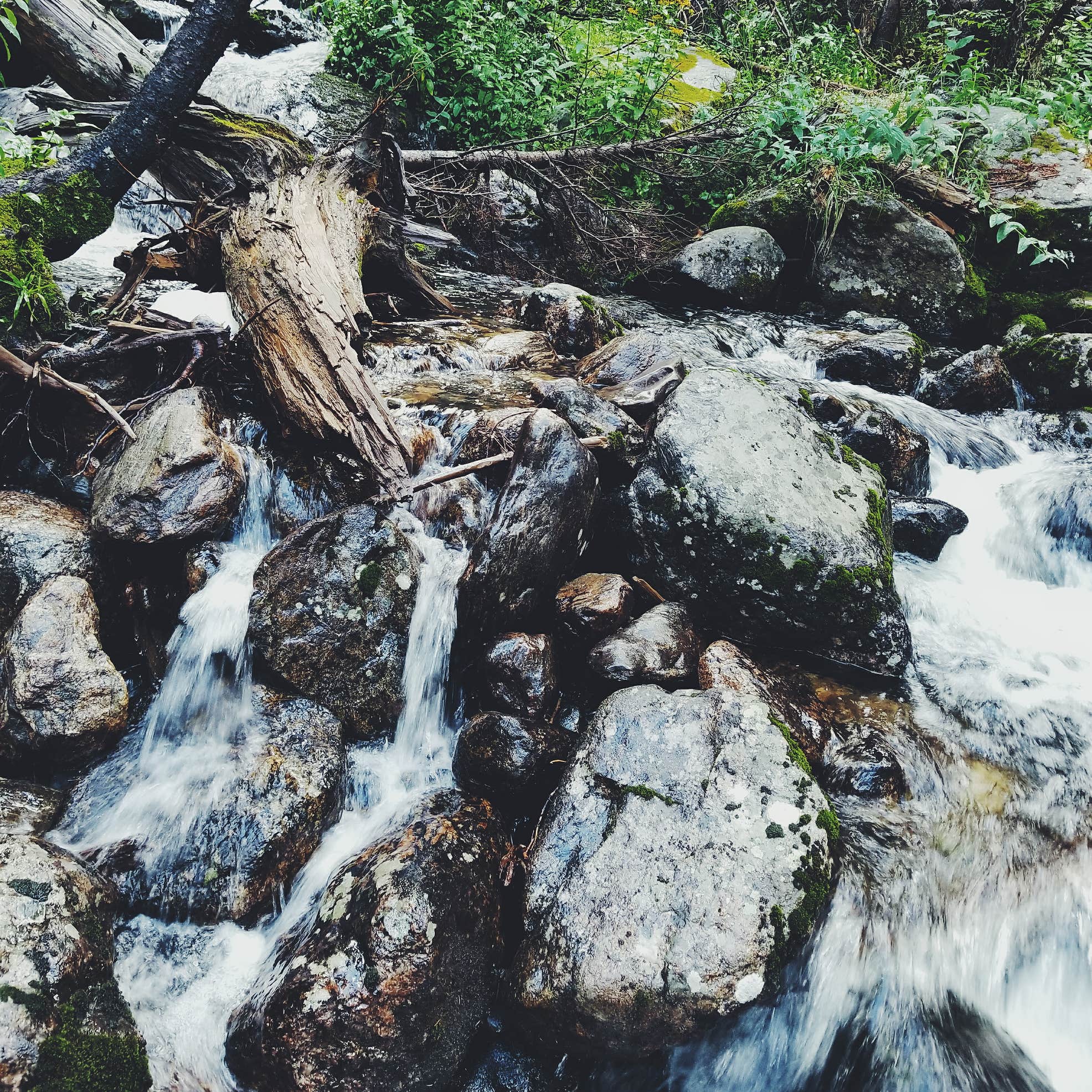 Homestake Road Dispersed - CO Camping | The Dyrt