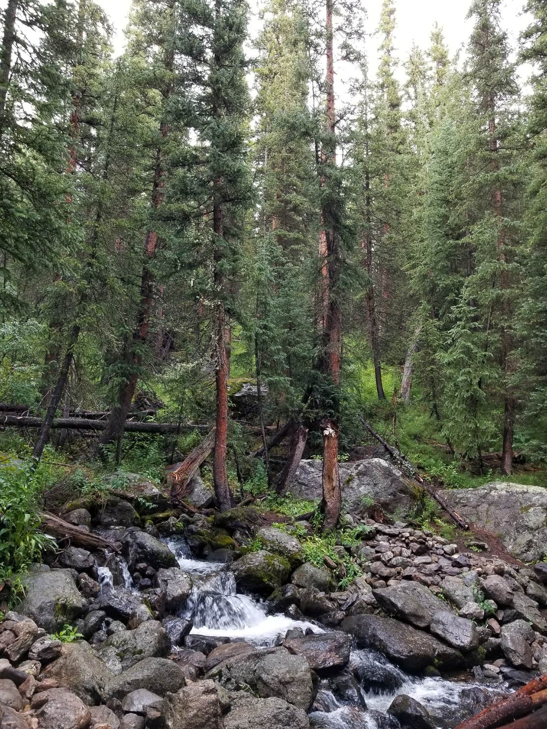 Homestake Road Dispersed - CO Camping | The Dyrt