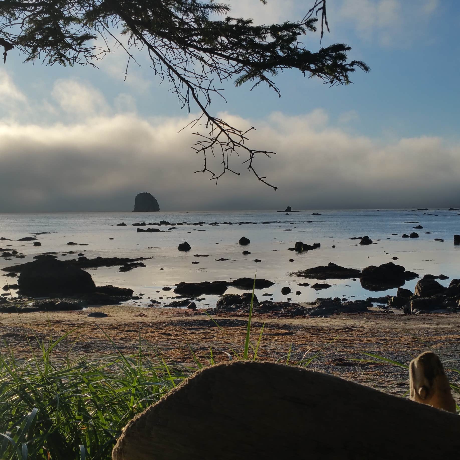 Sand Point Camp Area Camping | The Dyrt