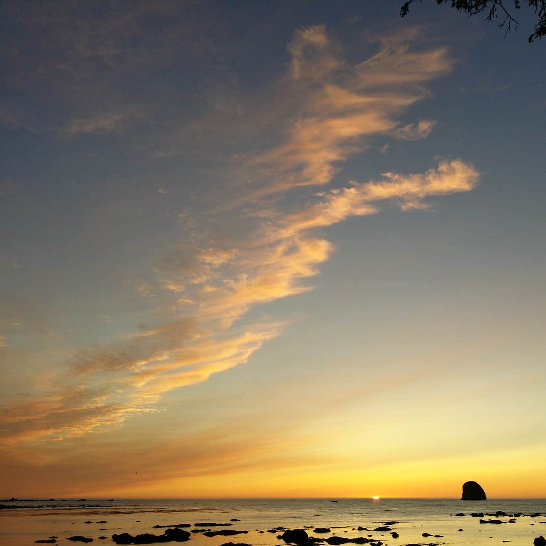 Sand Point Camp Area — Olympic National Park | La Push, Washington