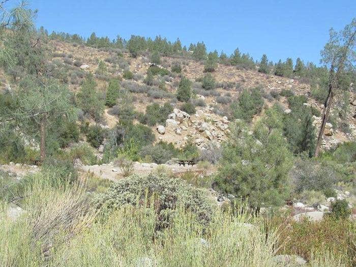 Gold Ledge Campground Camping | Kernville, CA | The Dyrt