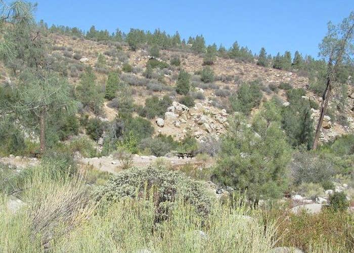 Gold Ledge Campground Camping | The Dyrt