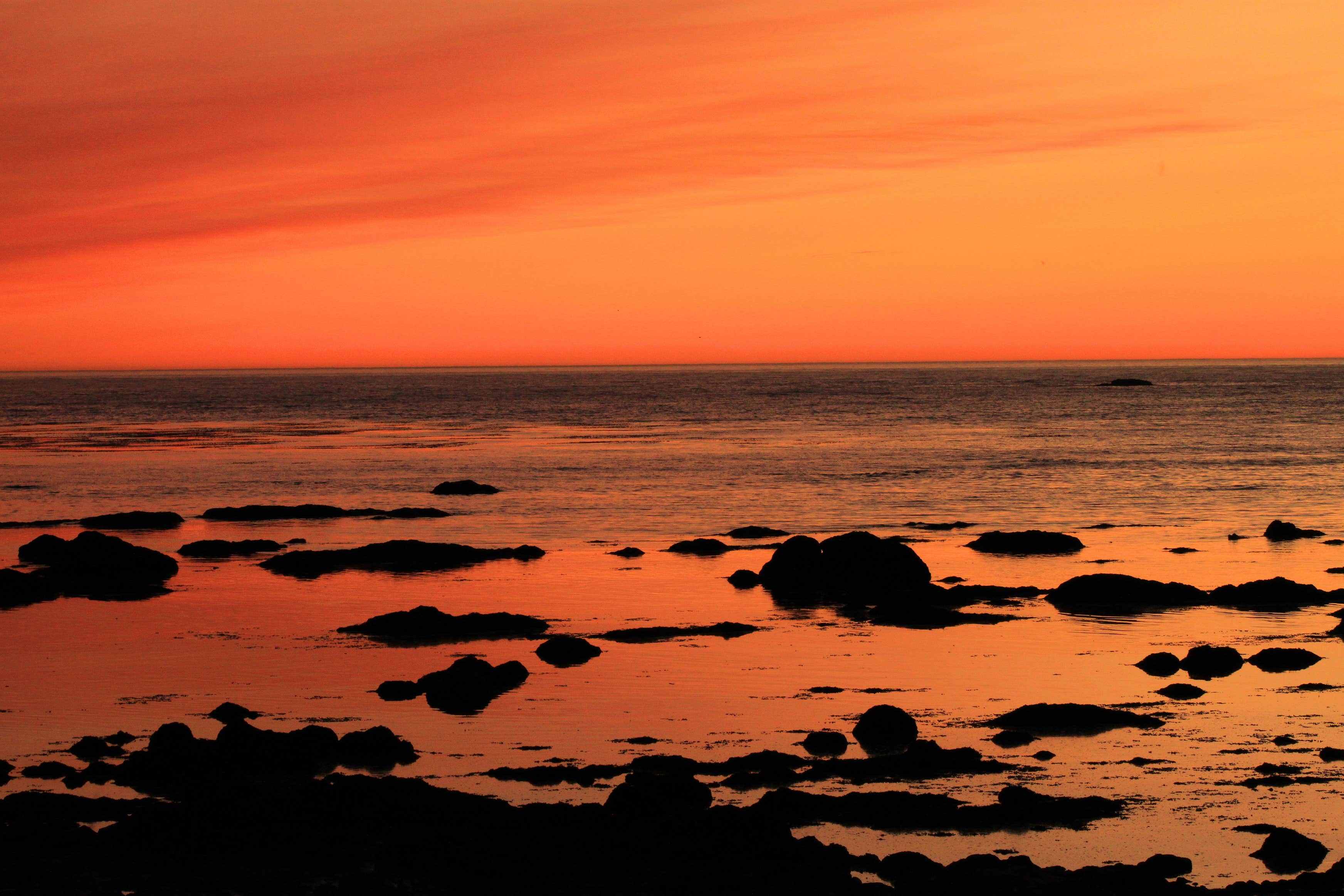 Sand Point Camp Area | The Dyrt