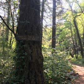 Panther Flat Campground Camping | The Dyrt