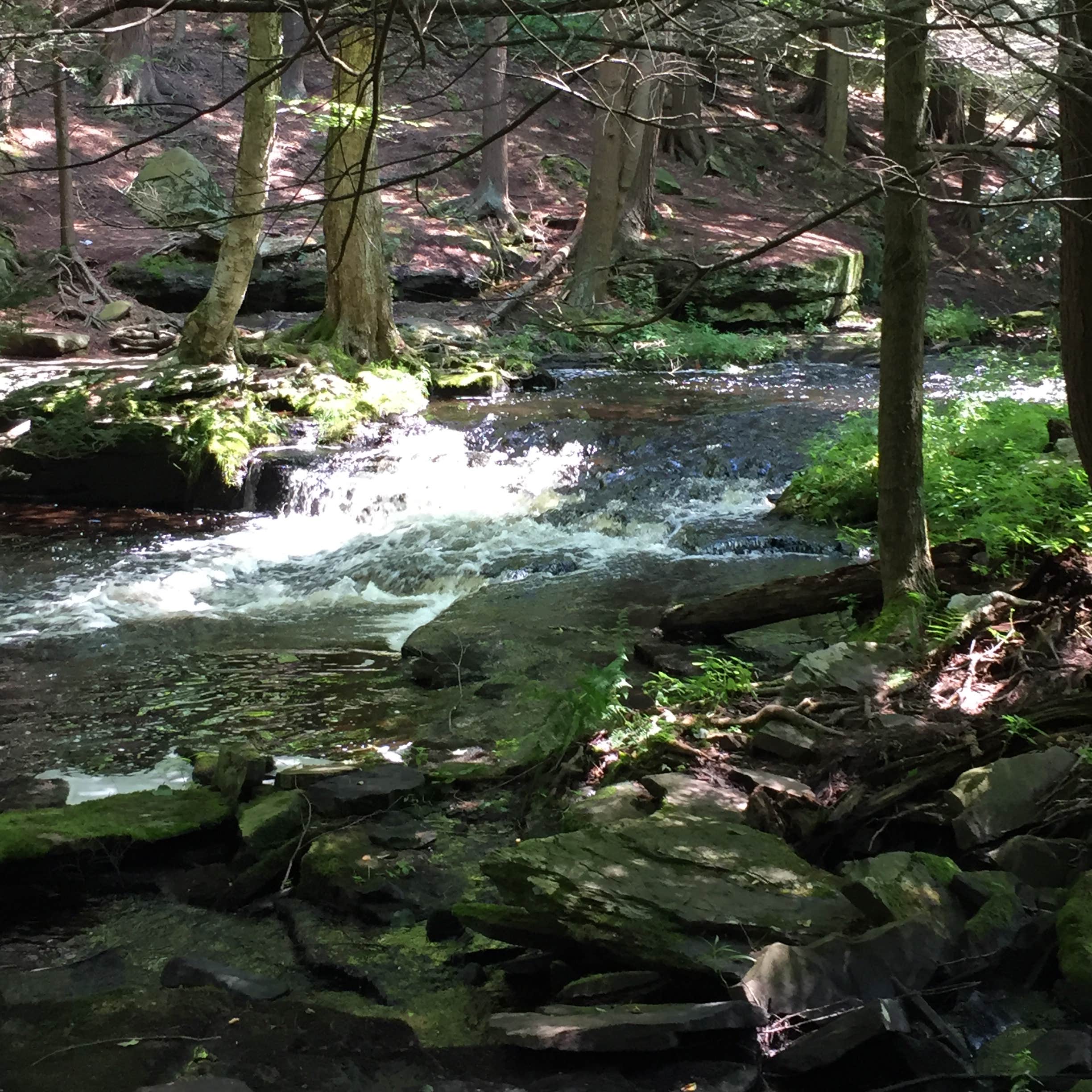 Pickerel Point - Promised Land State Park Camping | The Dyrt